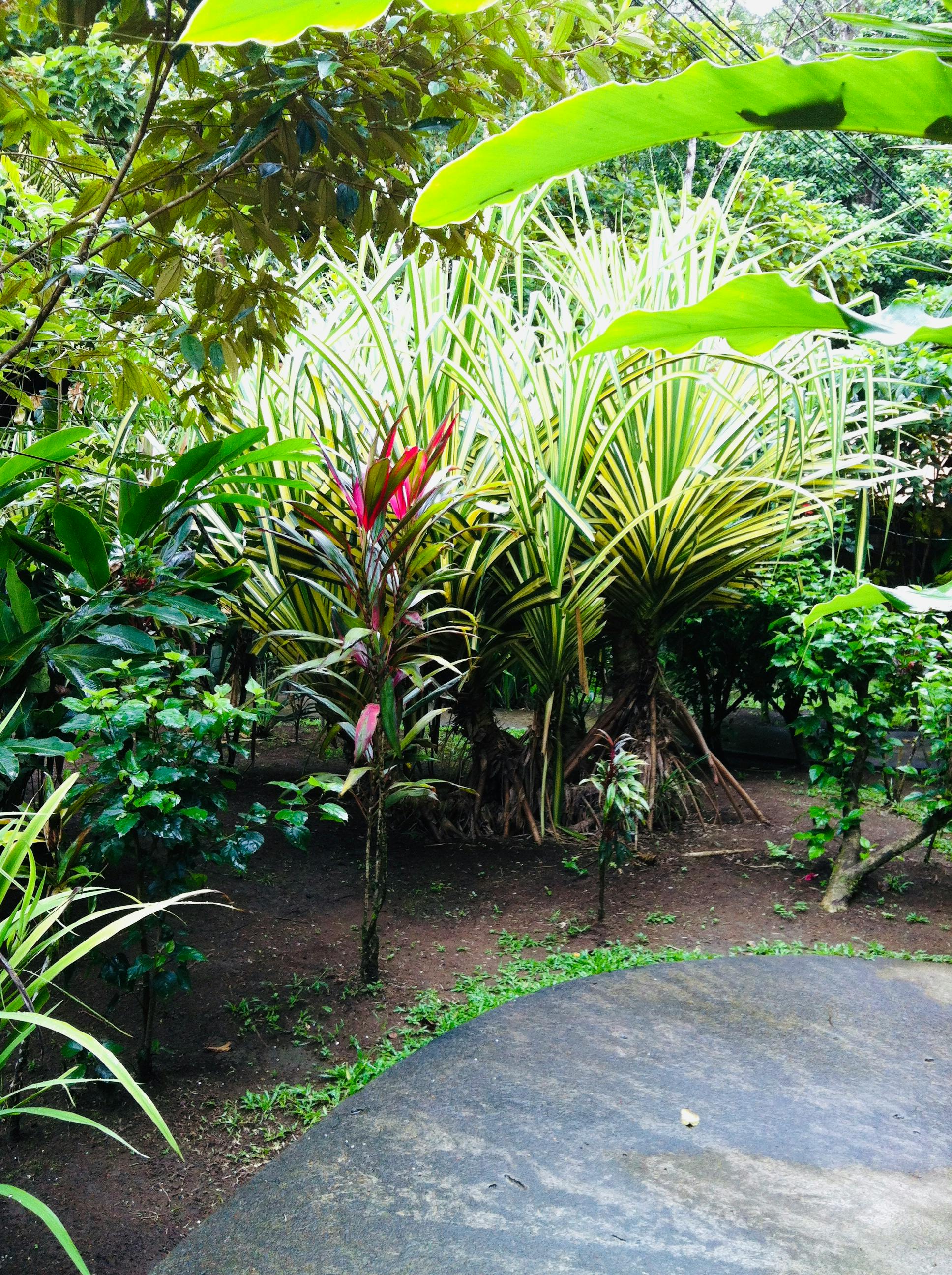 Chantal Raven - 摄影