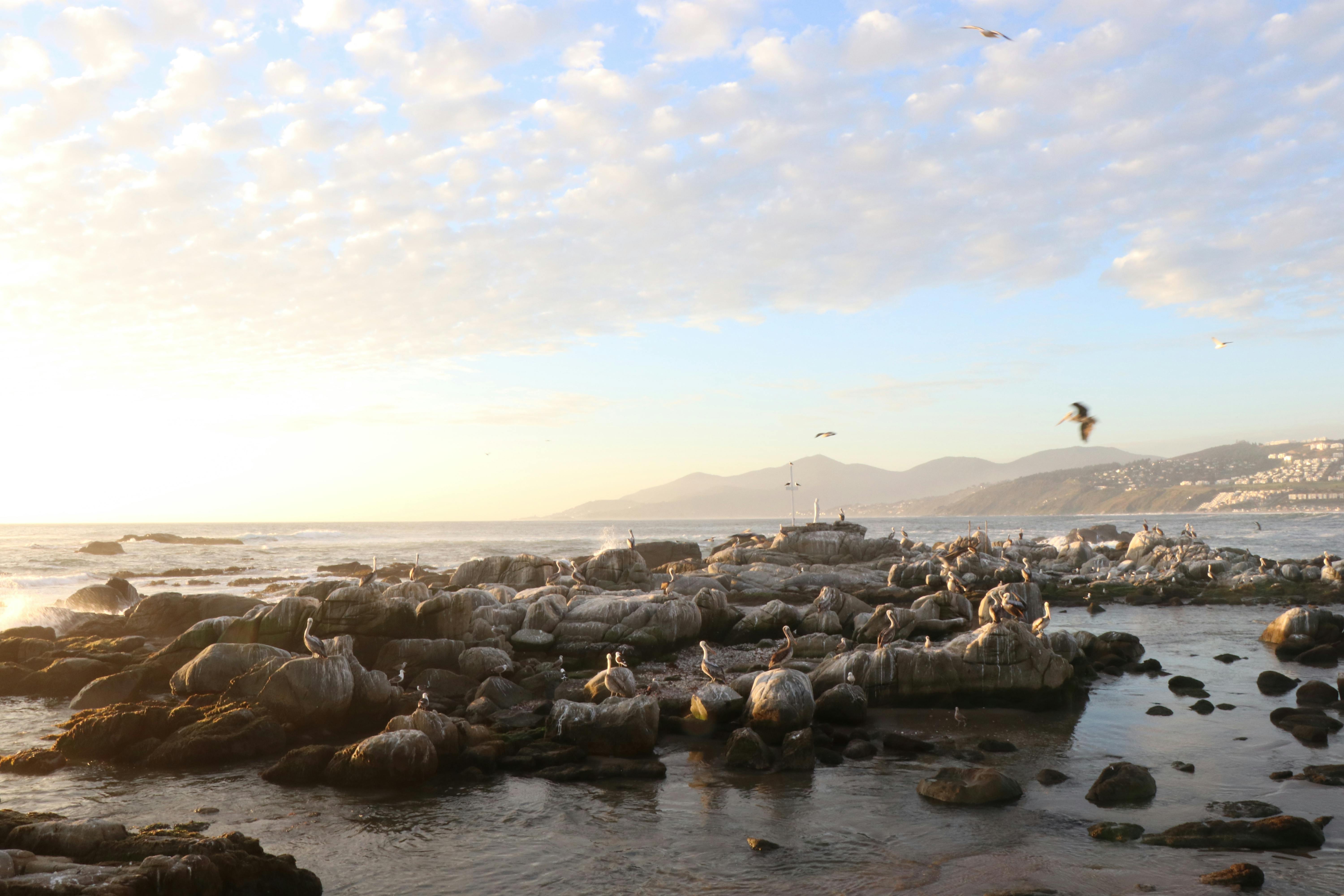 El mar de Chile 23 Photos & Videos Collected by Raul Infante Gaete