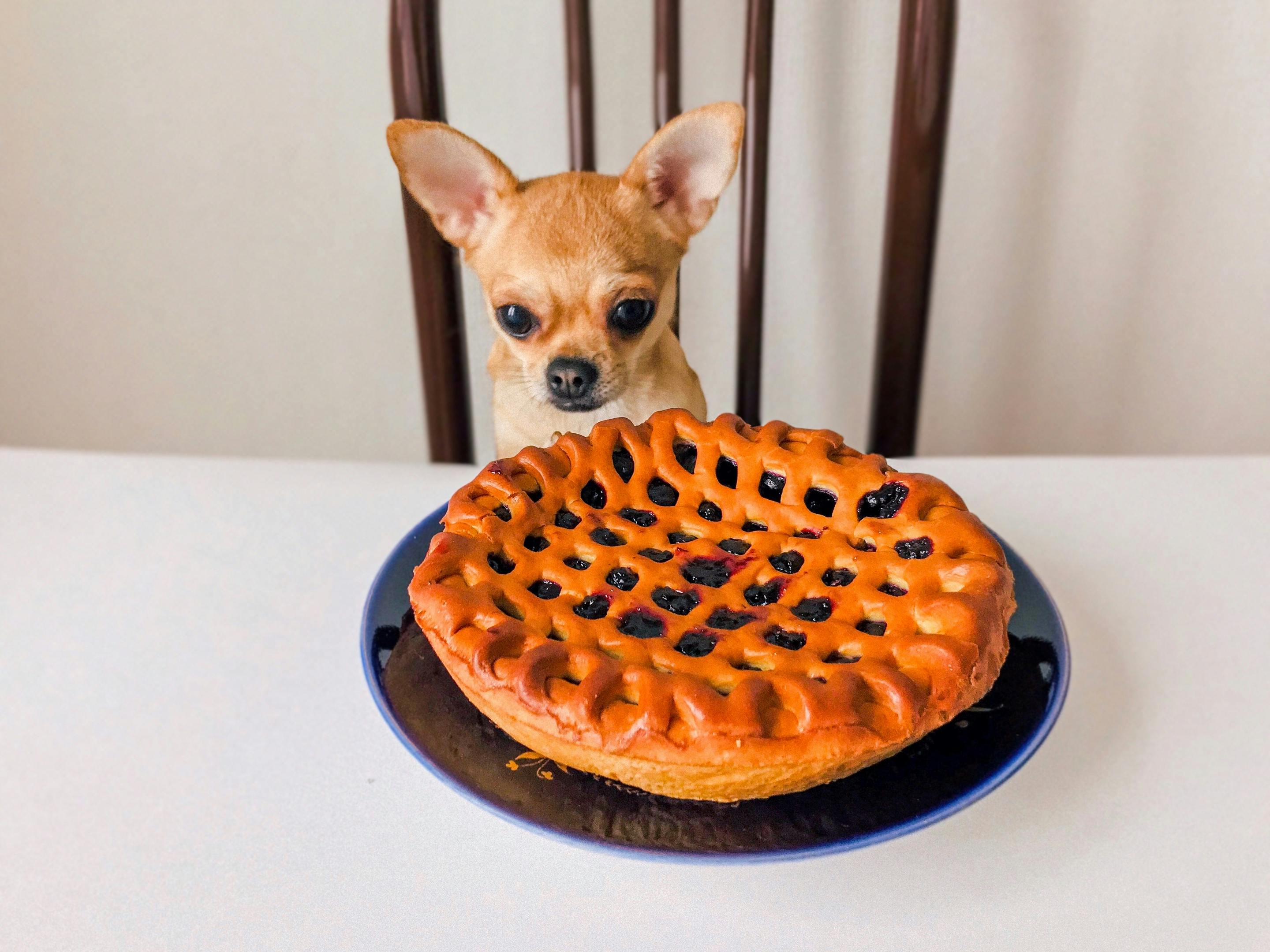 Veronica - Photography