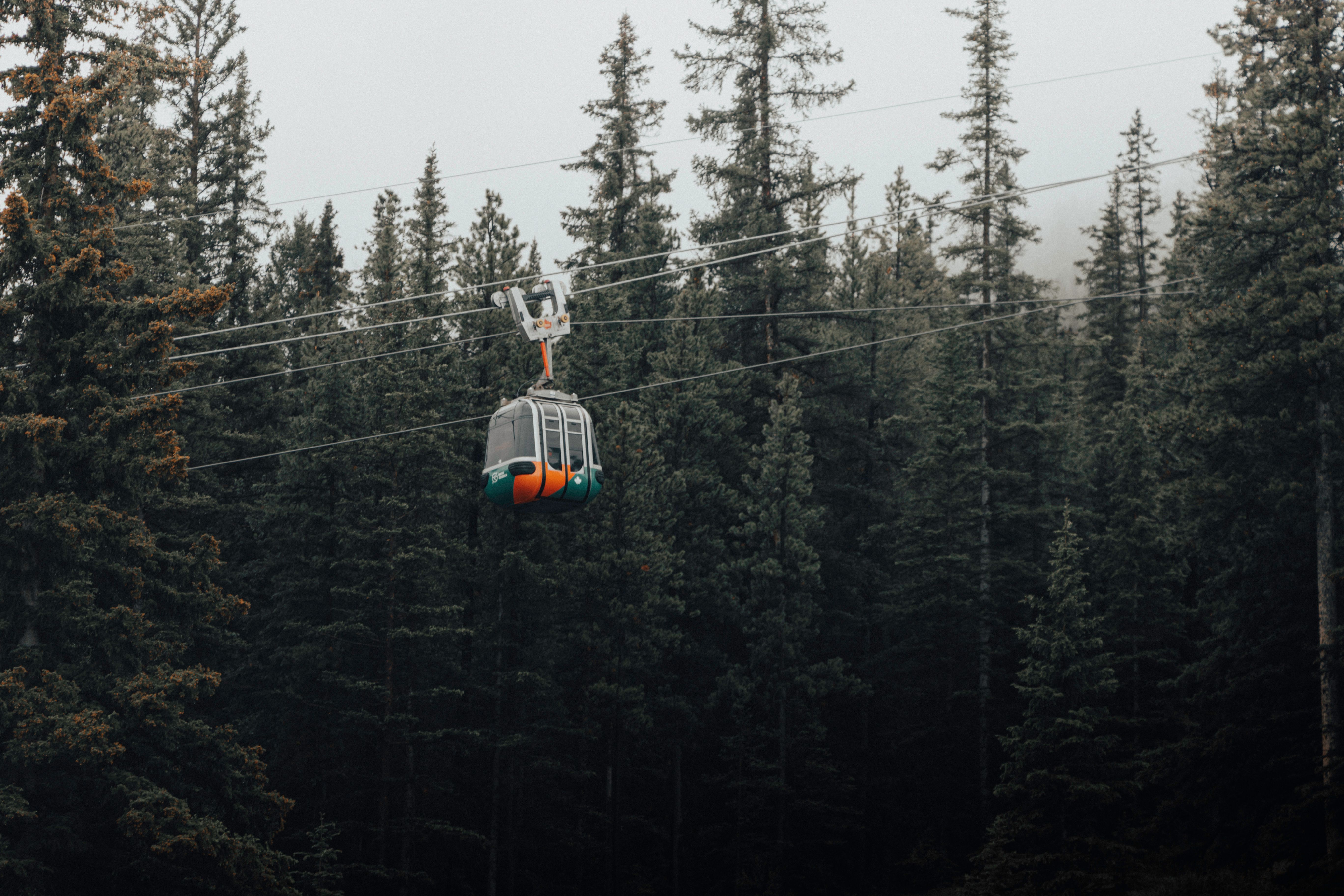 Gondola Lift against Coniferous Forest · Free Stock Photo