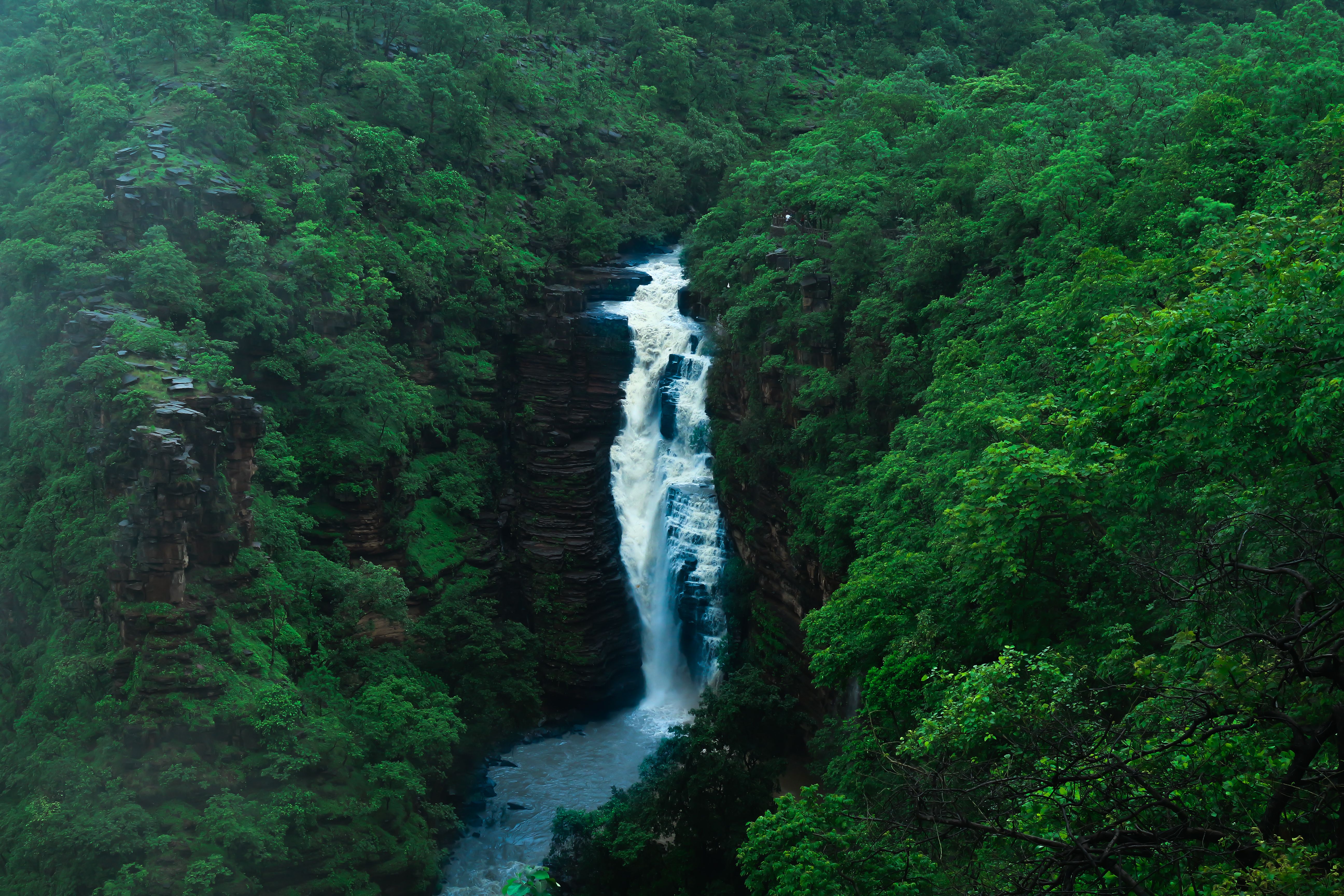 Fast foamy waterfall in greenery mountains with forest · Free Stock Photo