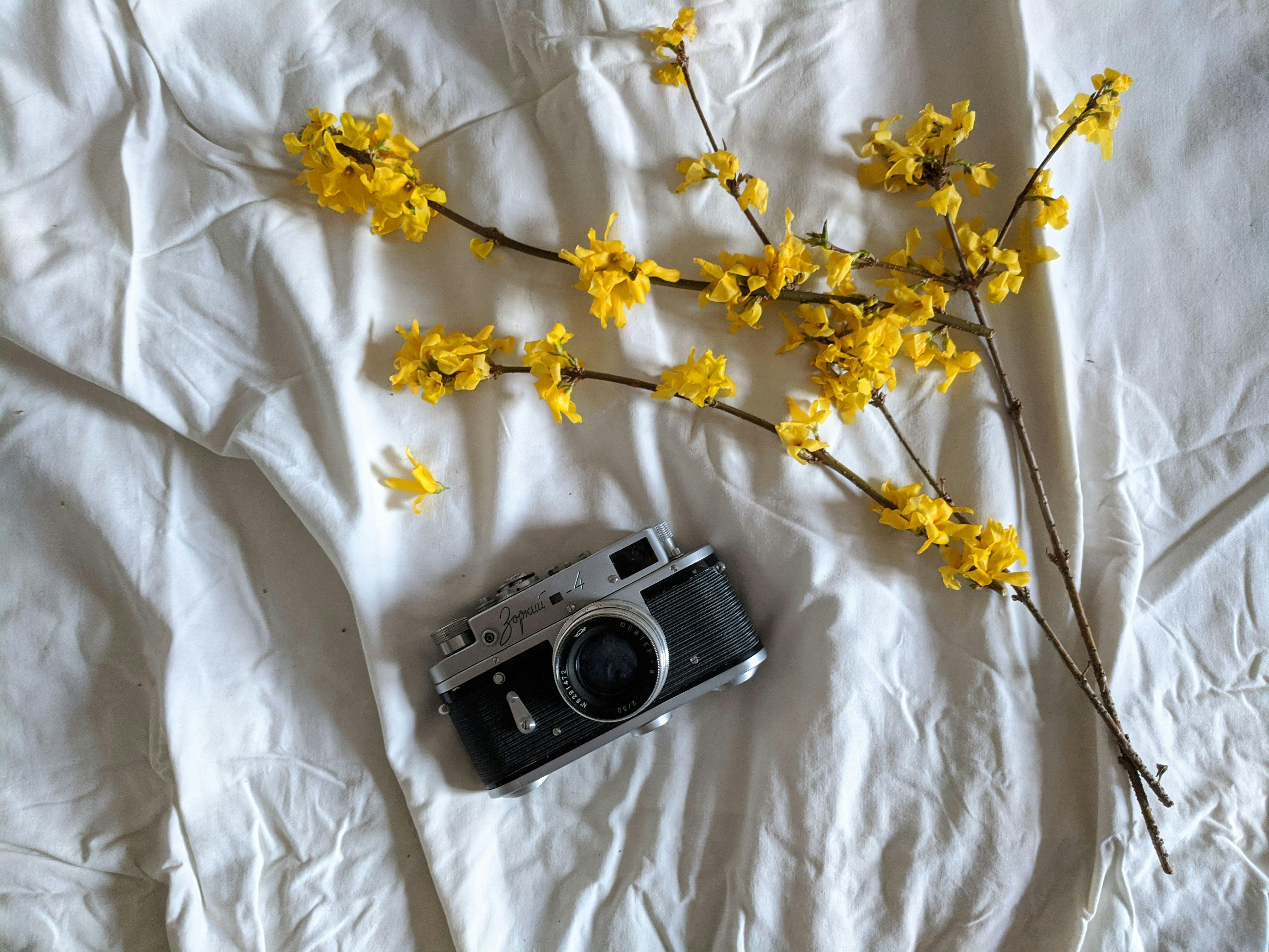Close-Up Shot of a Camera and Flowers on White Textile · Free Stock Photo
