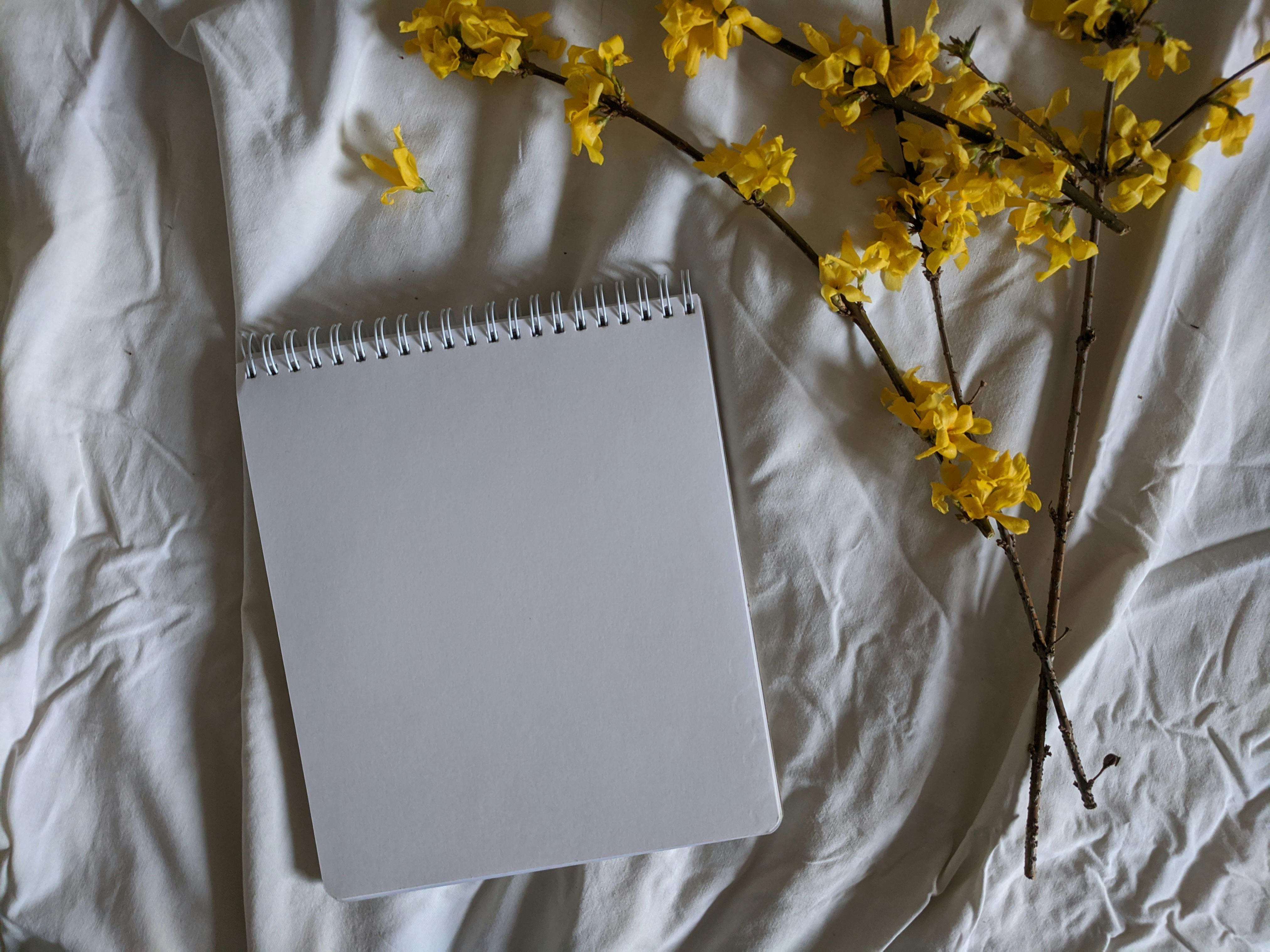 A Person Holding a Blank Notepad · Free Stock Photo