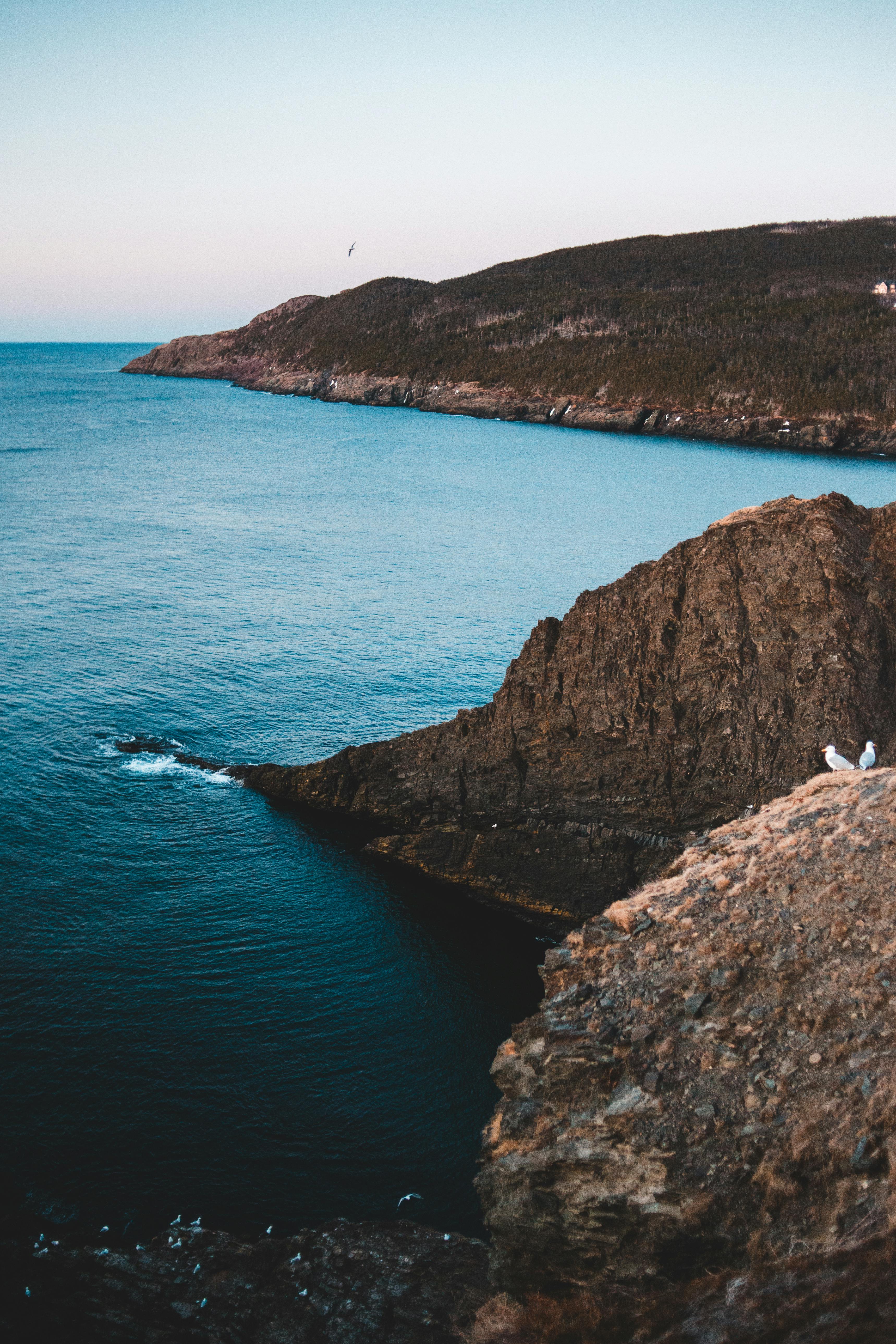 Cliffs near endless ocean under cloudless sky · Free Stock Photo