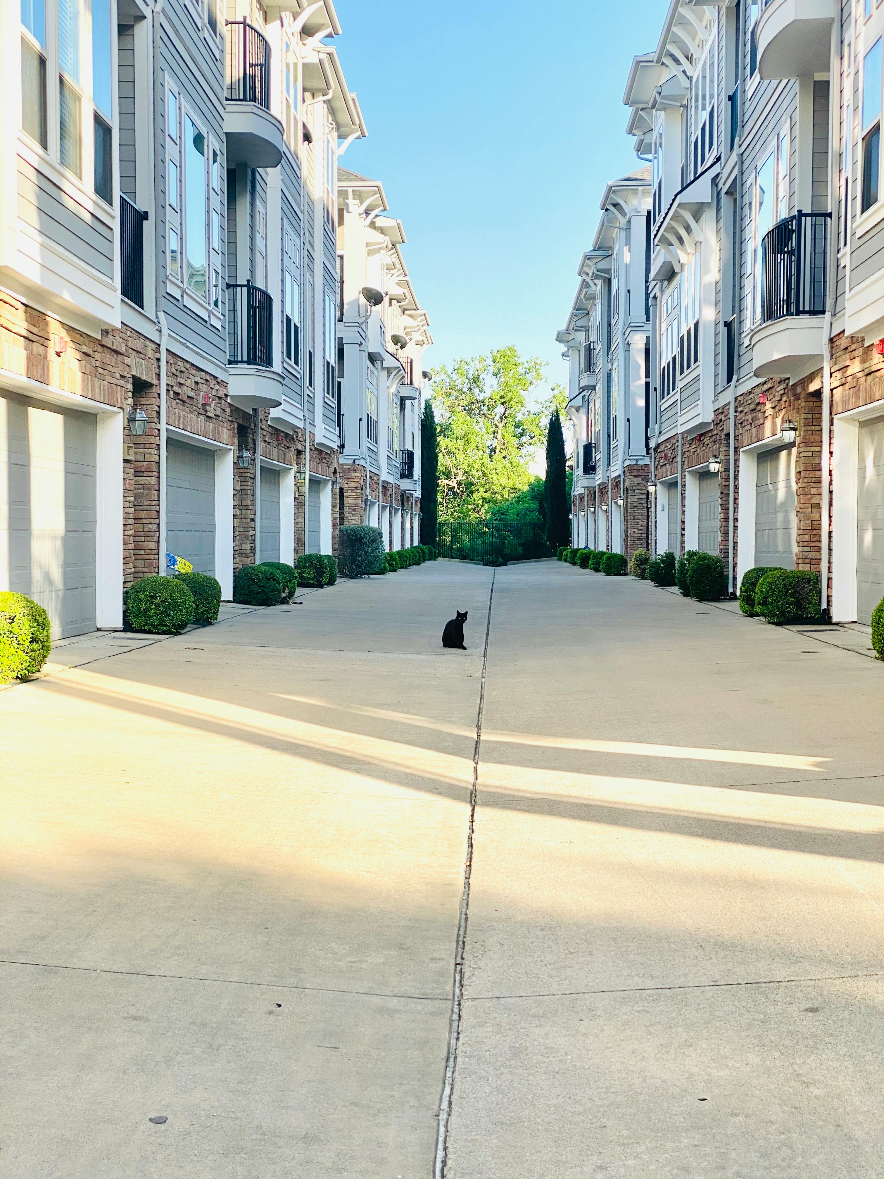 nathaniel w - 사진