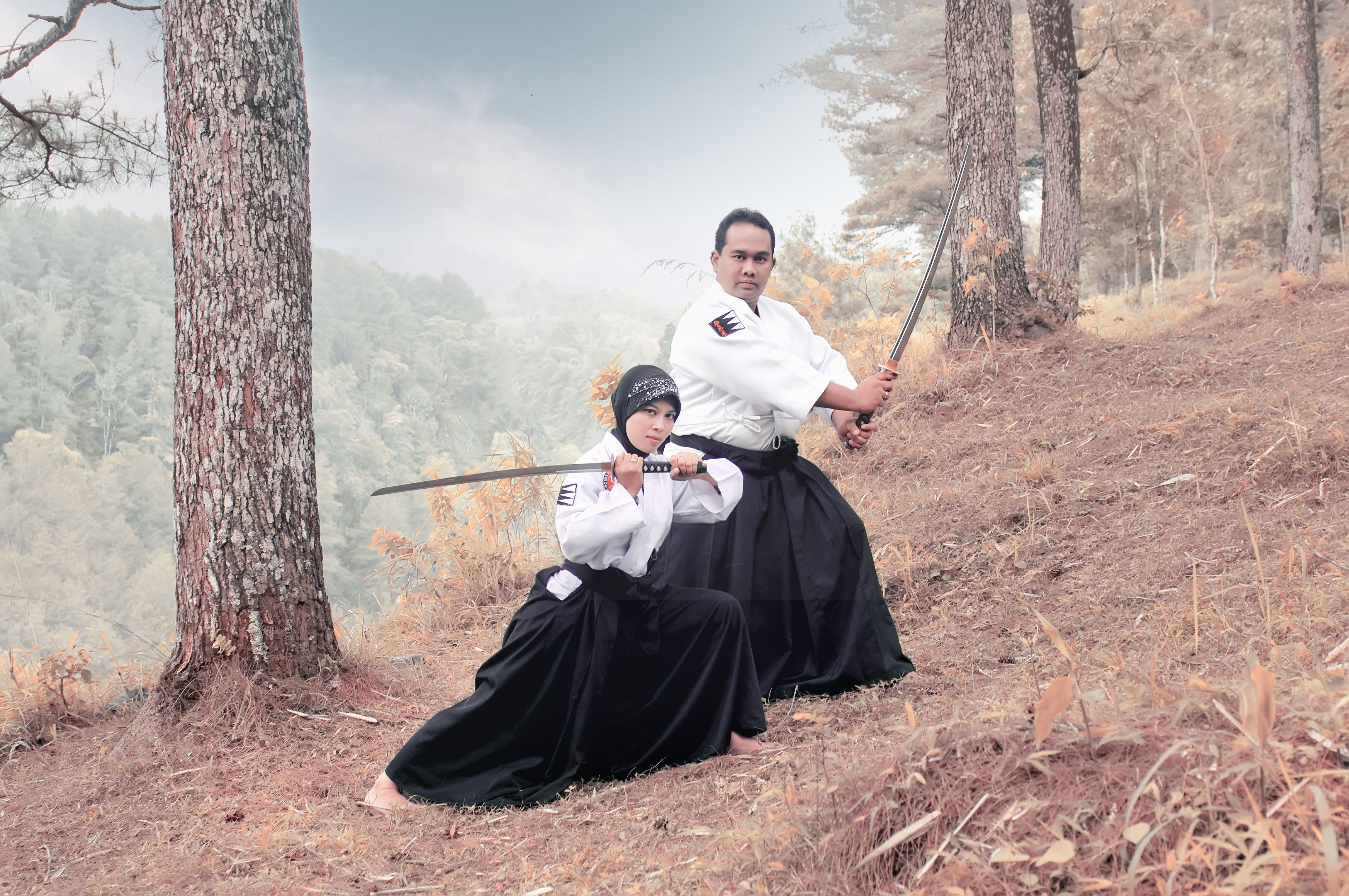 929+ Best Free Swords Stock Photos & Images · 100% Royalty-Free HD ...