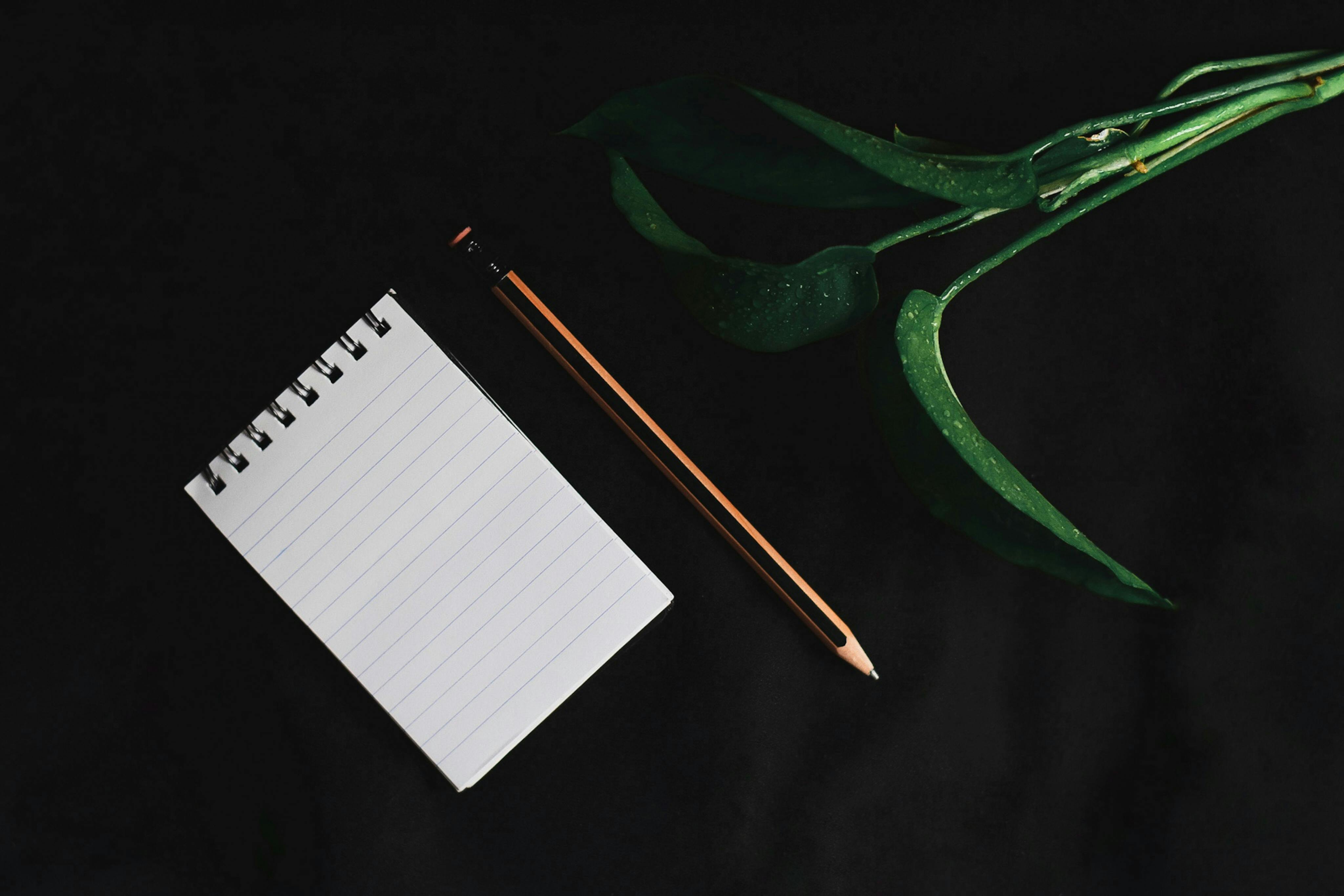 Overhead Shot of a Person Using a Spray Hose · Free Stock Photo