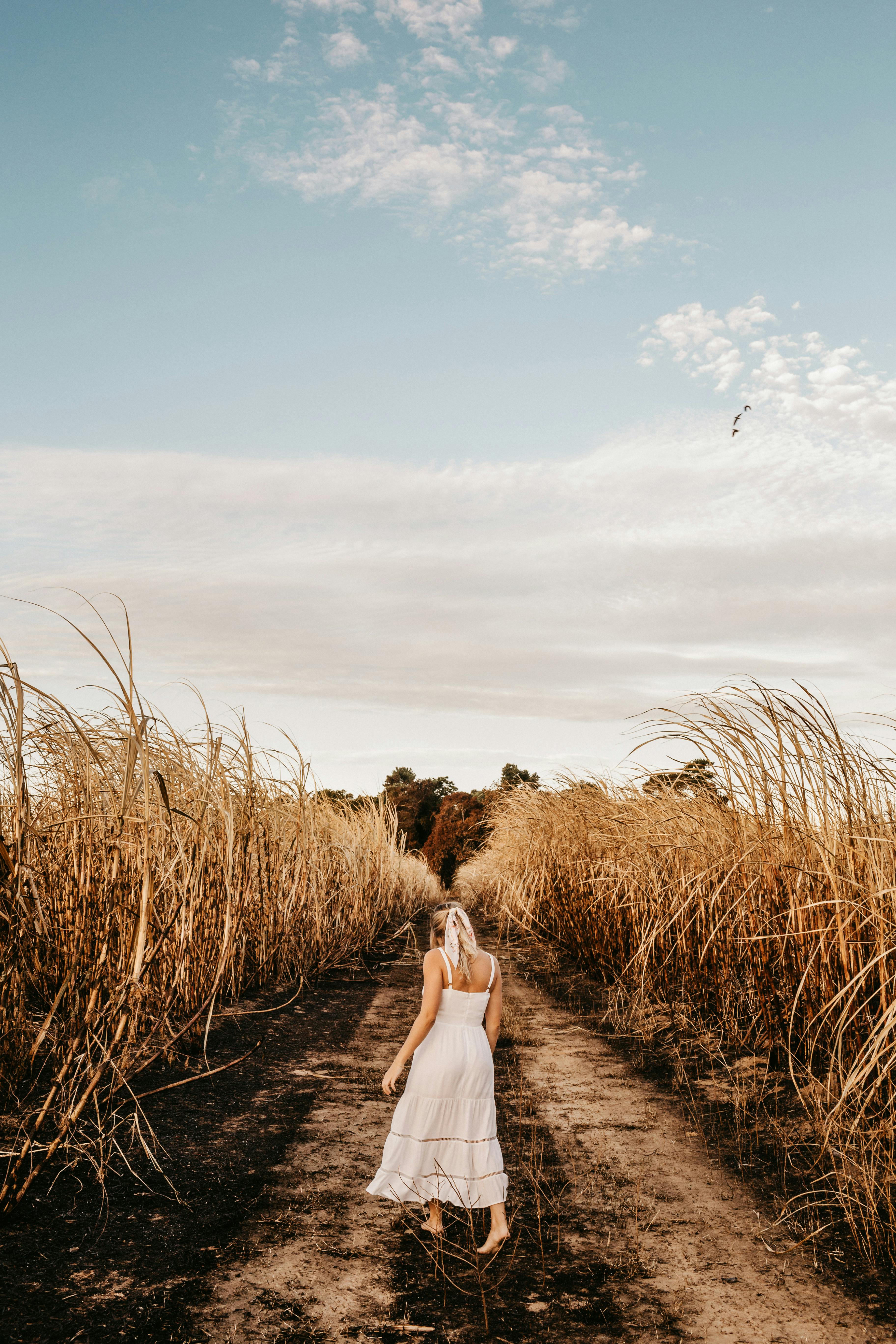 Woman walking on pathway near river · Free Stock Photo