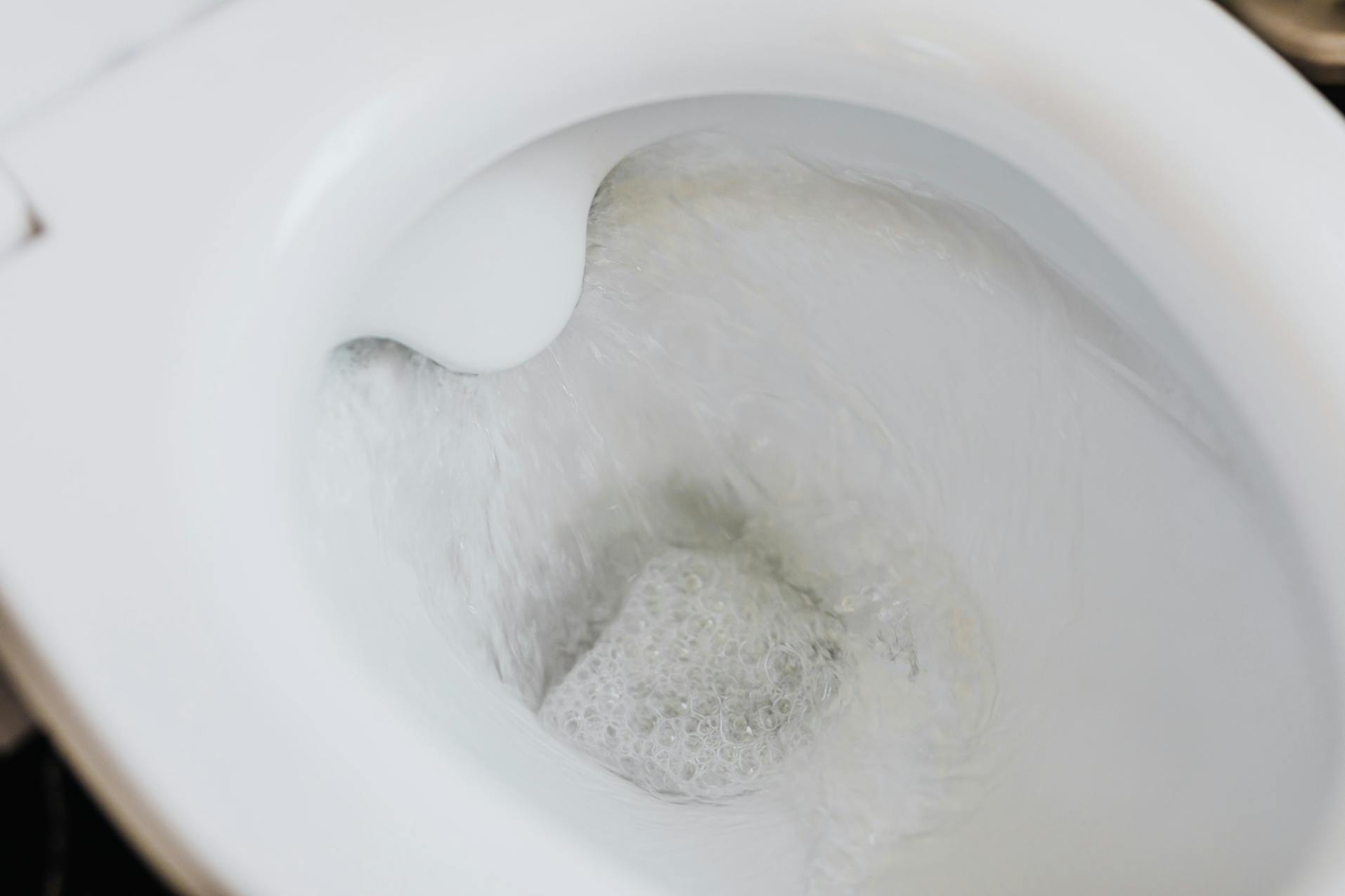 What happens if you drink toilet water? Full safe guide