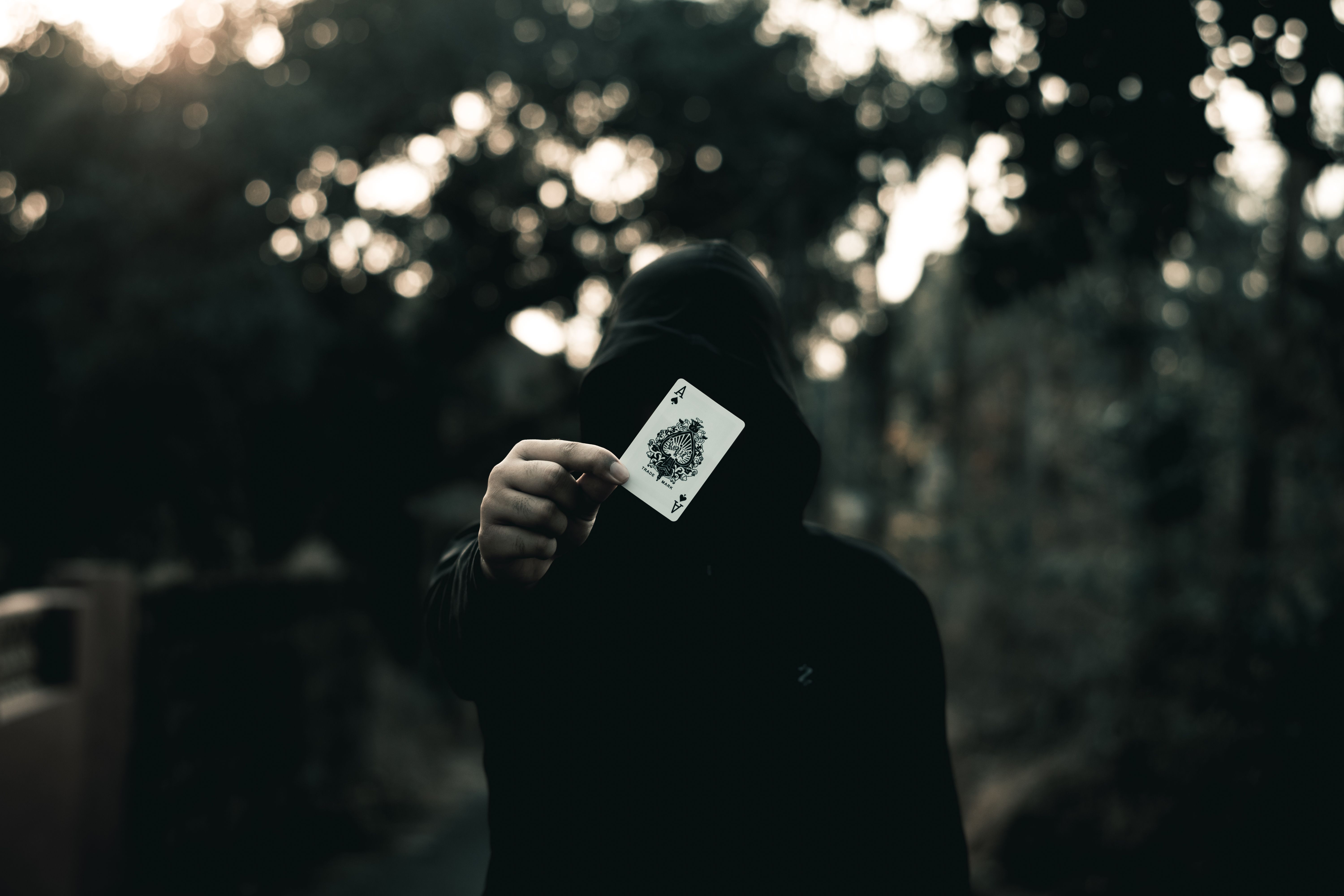 Person Holding Cards · Free Stock Photo