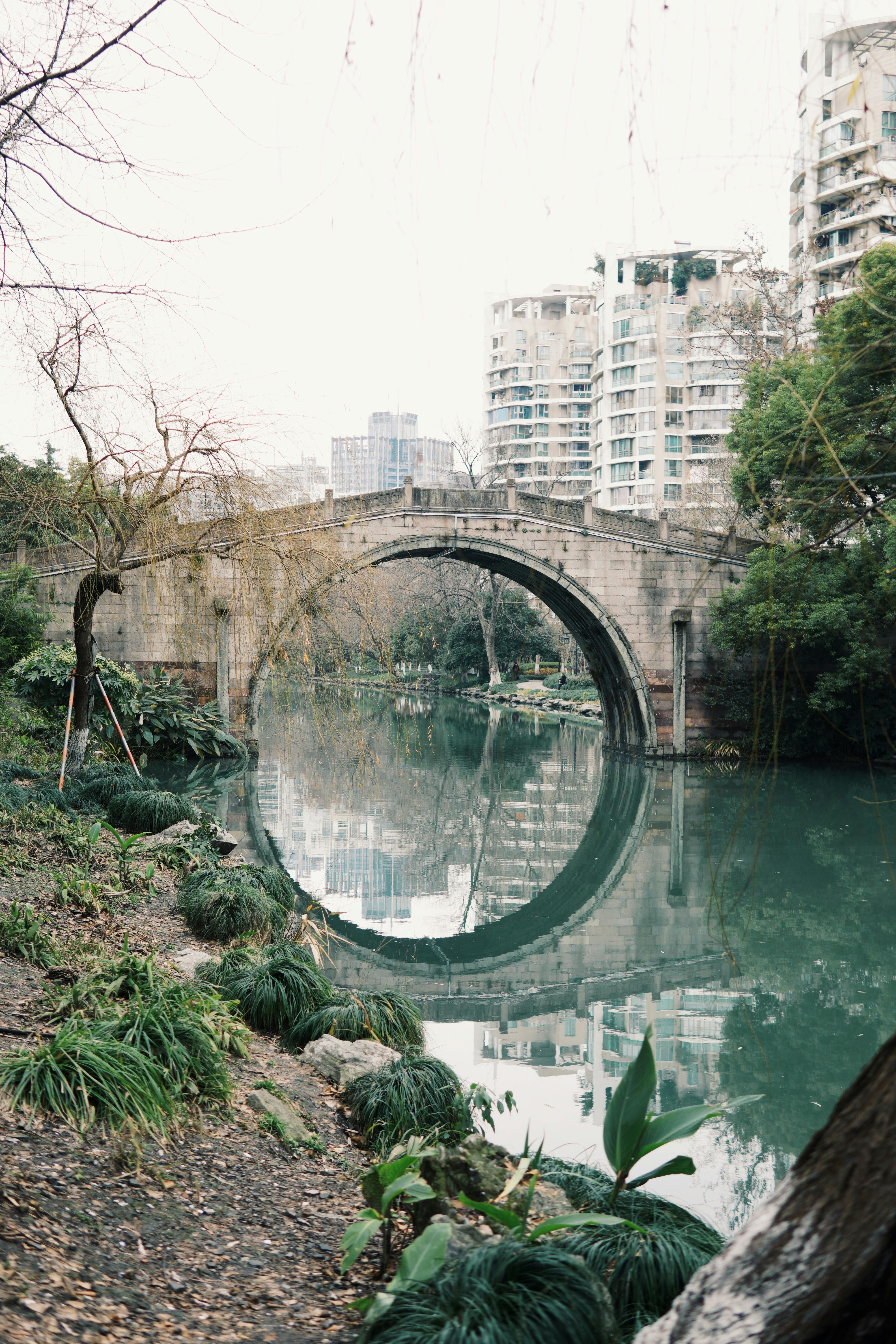 Green Bridge Over the River · Free Stock Photo