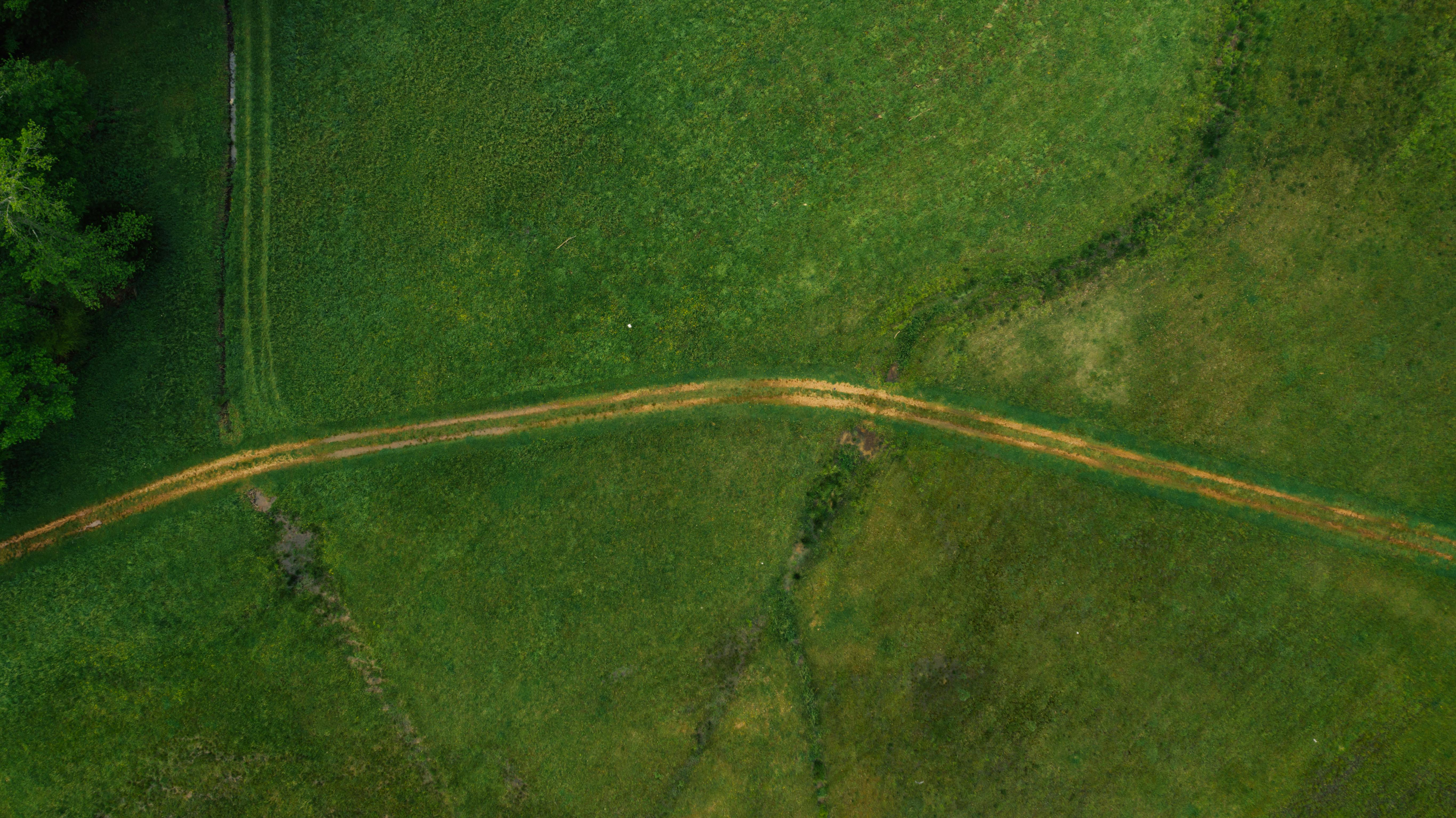 Triones Photos, Download The BEST Free Triones Stock Photos & HD Images