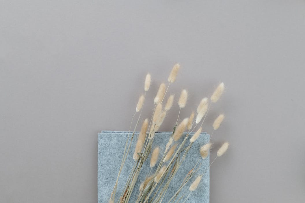 Simple Web Designs for Better User Experience Today