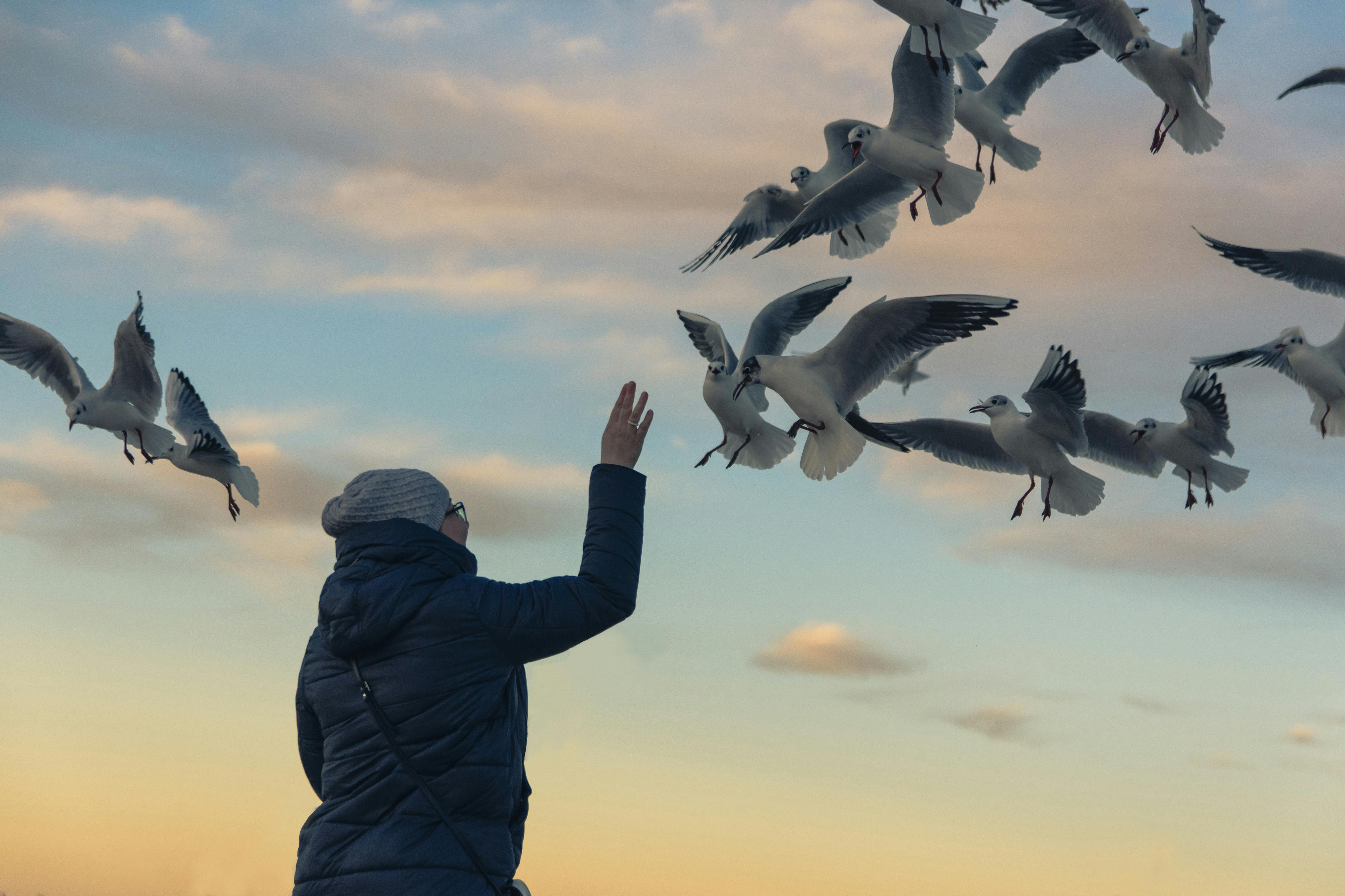 Krzysztof Bugaj - Photography