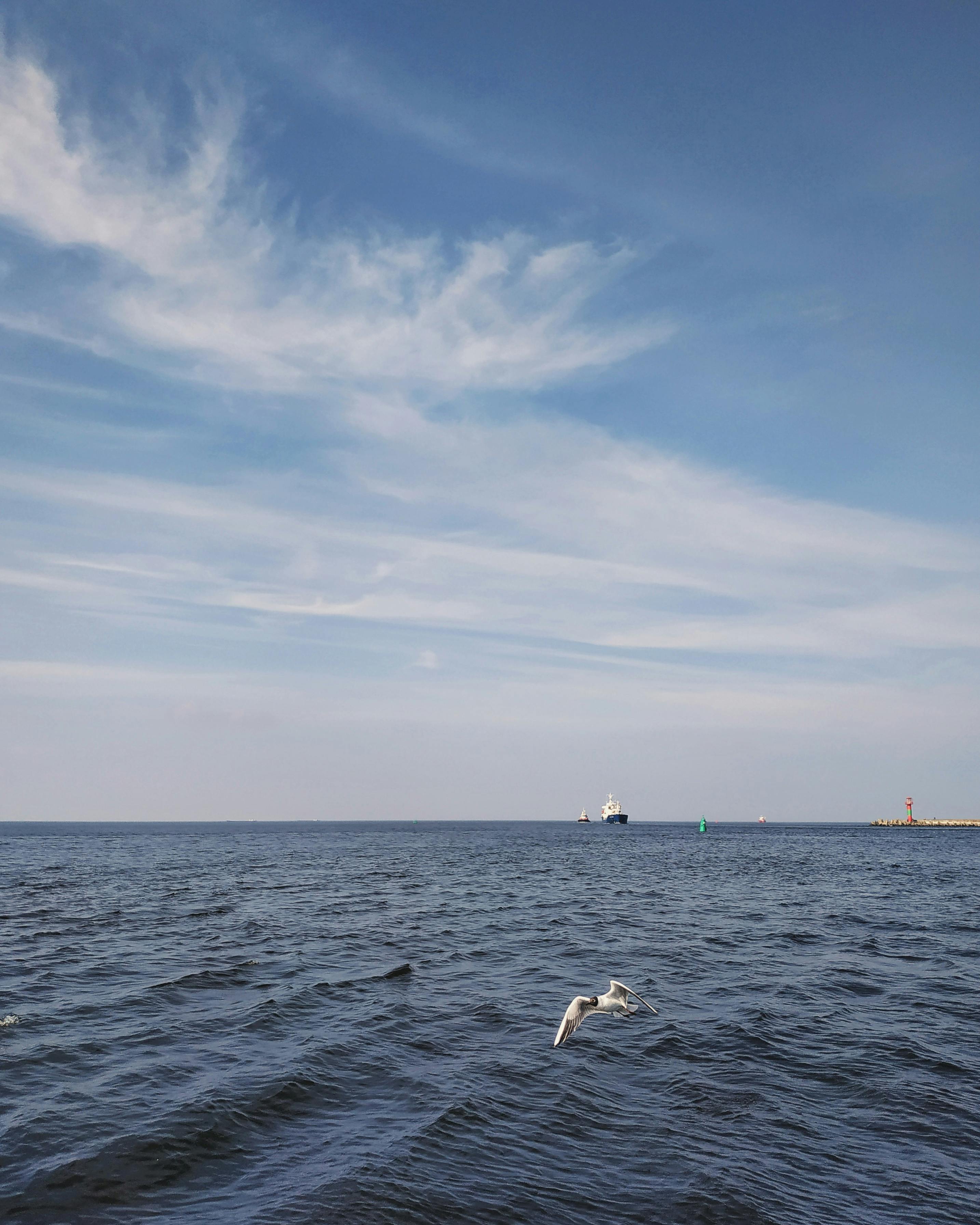 Boat floating in open sea · Free Stock Photo