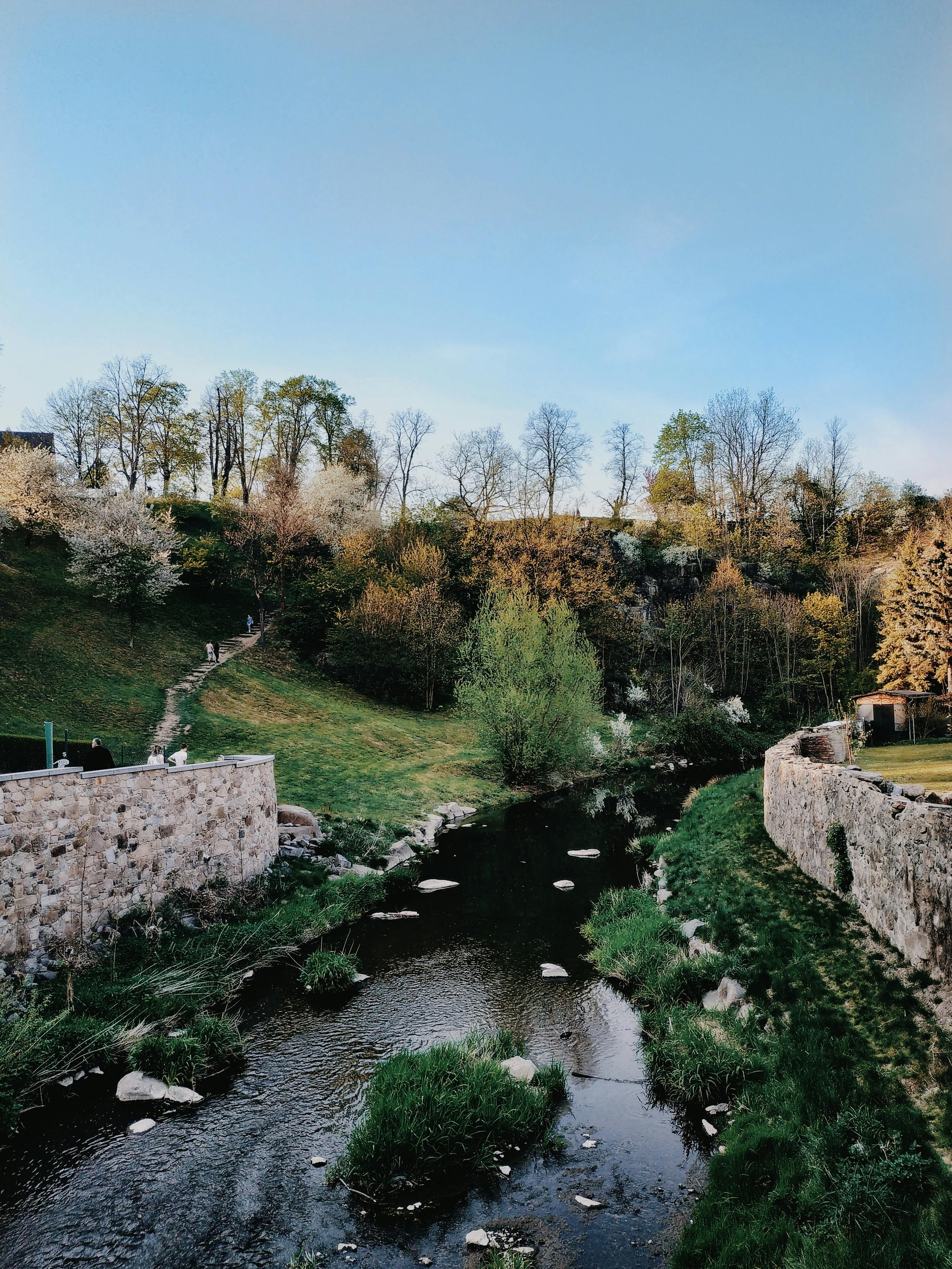 Calm grassy river streaming through autumn park · Free Stock Photo
