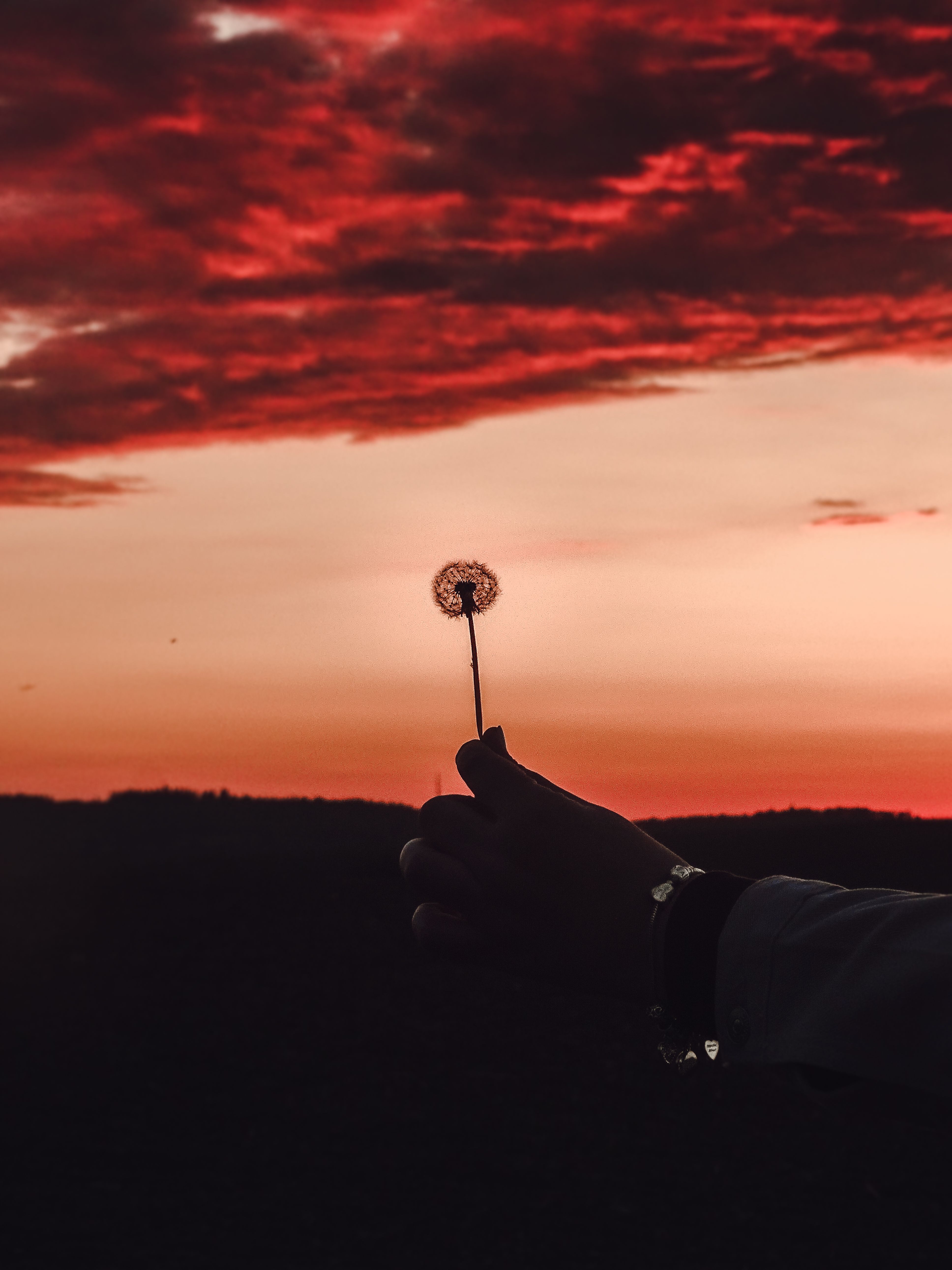 Silhouette of Person Doing Peace Sign · Free Stock Photo
