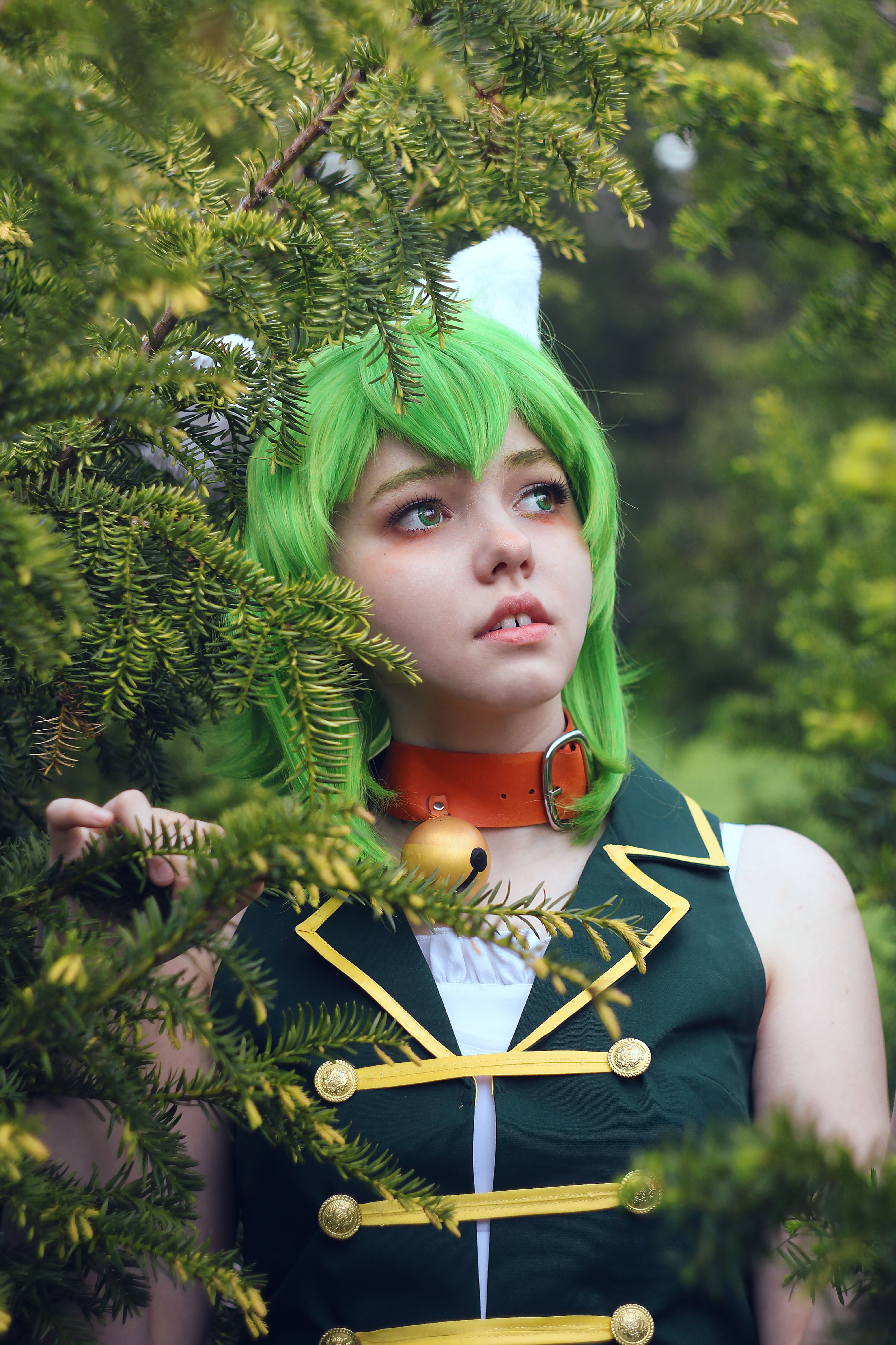 Anime Characters Backgrounds Photos, Download The BEST Free Anime ...