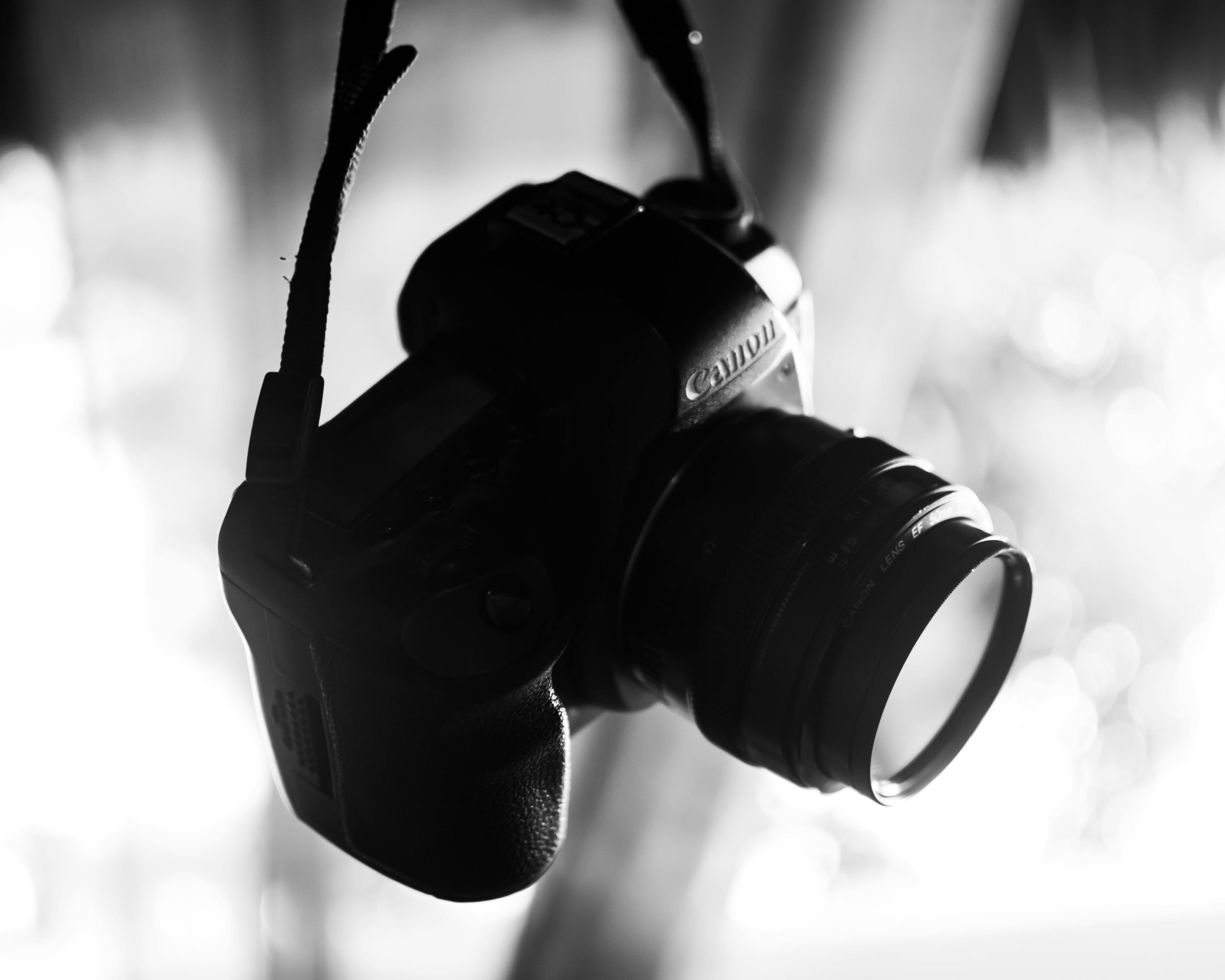 Professional photo camera hanging on strap · Free Stock Photo