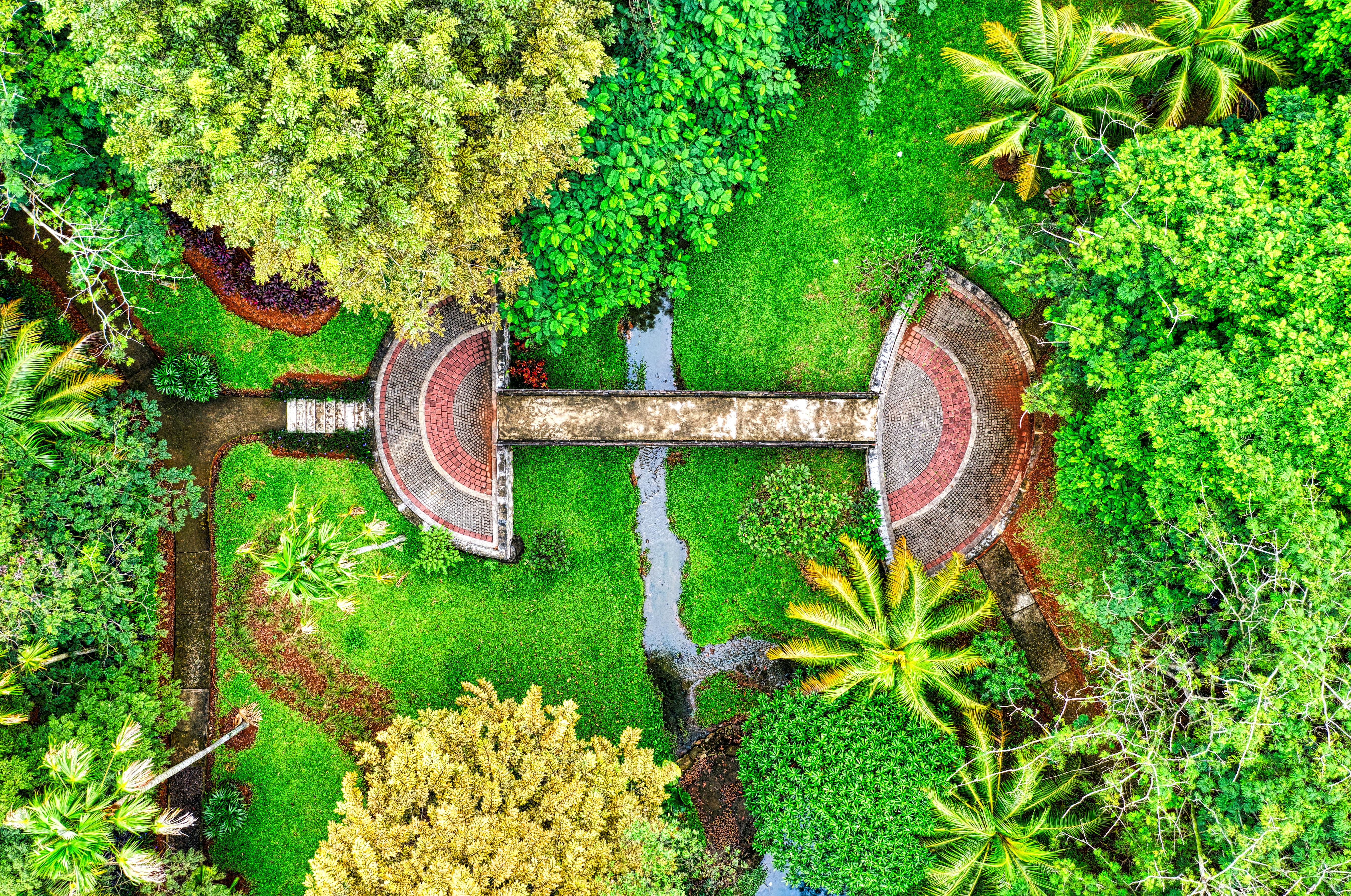 Birds Eye View of a Garden in Indonesia · Free Stock Photo