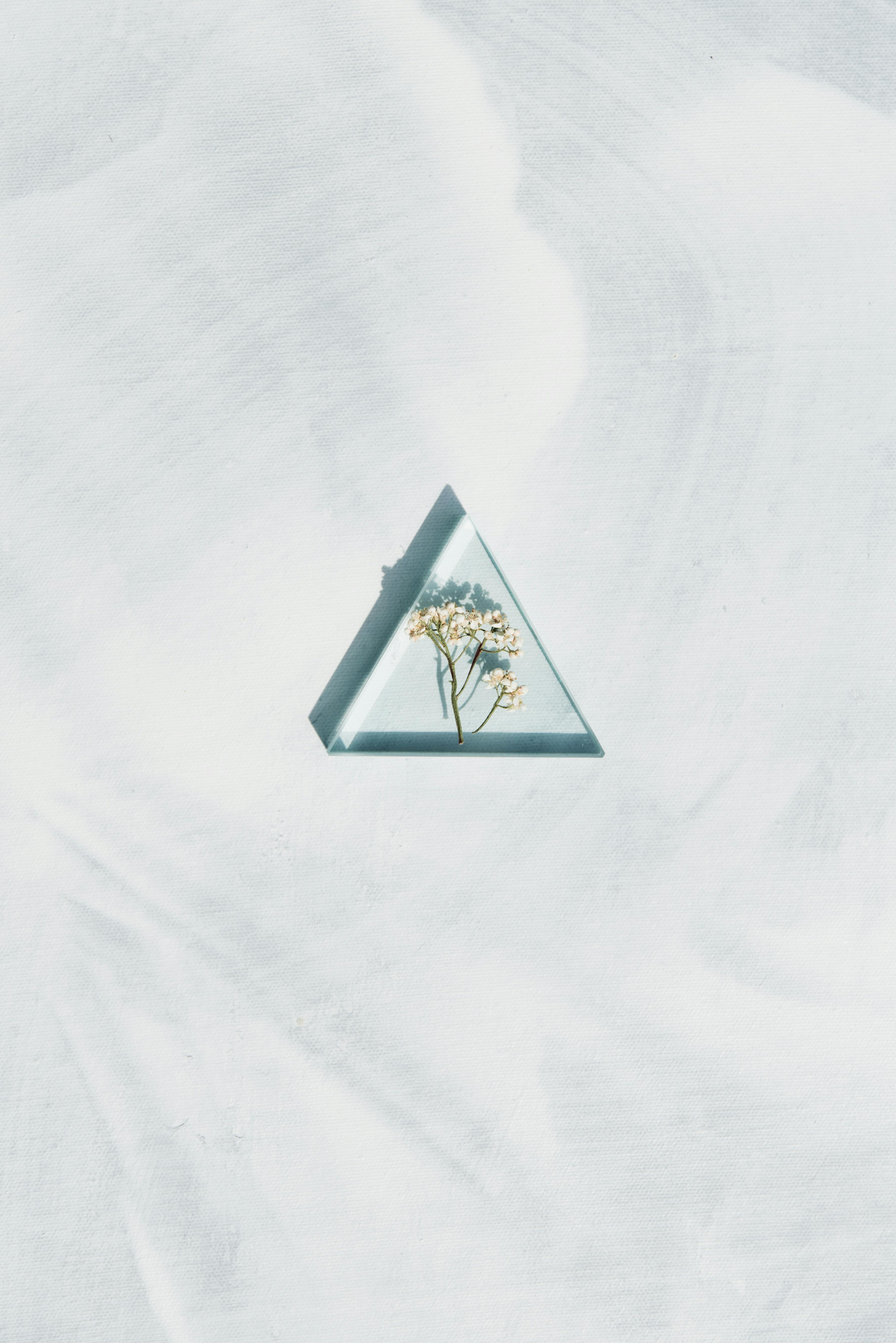 Prism Photos, Download The BEST Free Prism Stock Photos & HD Images