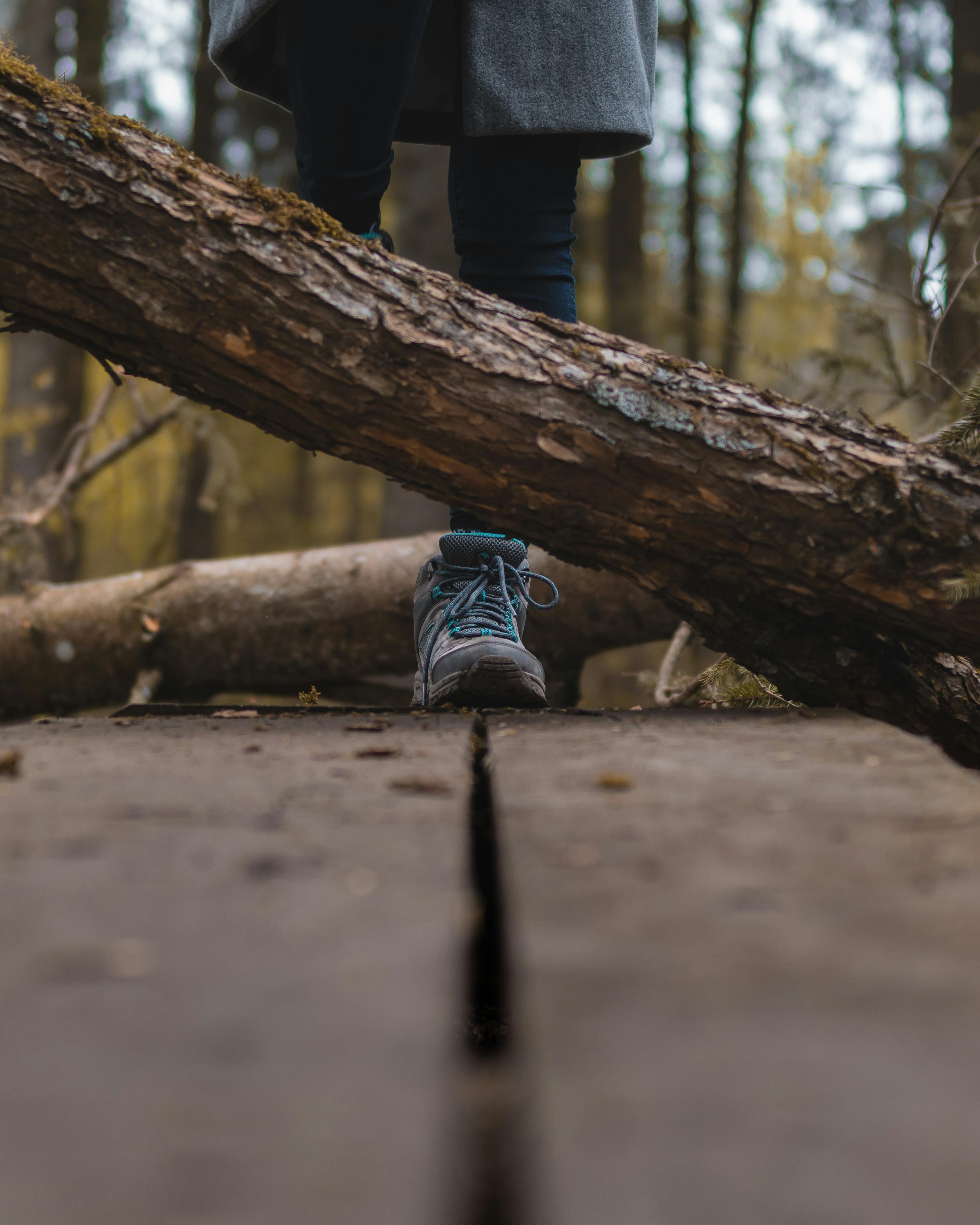 Person Stepping Over Wooden Log · Free Stock Photo