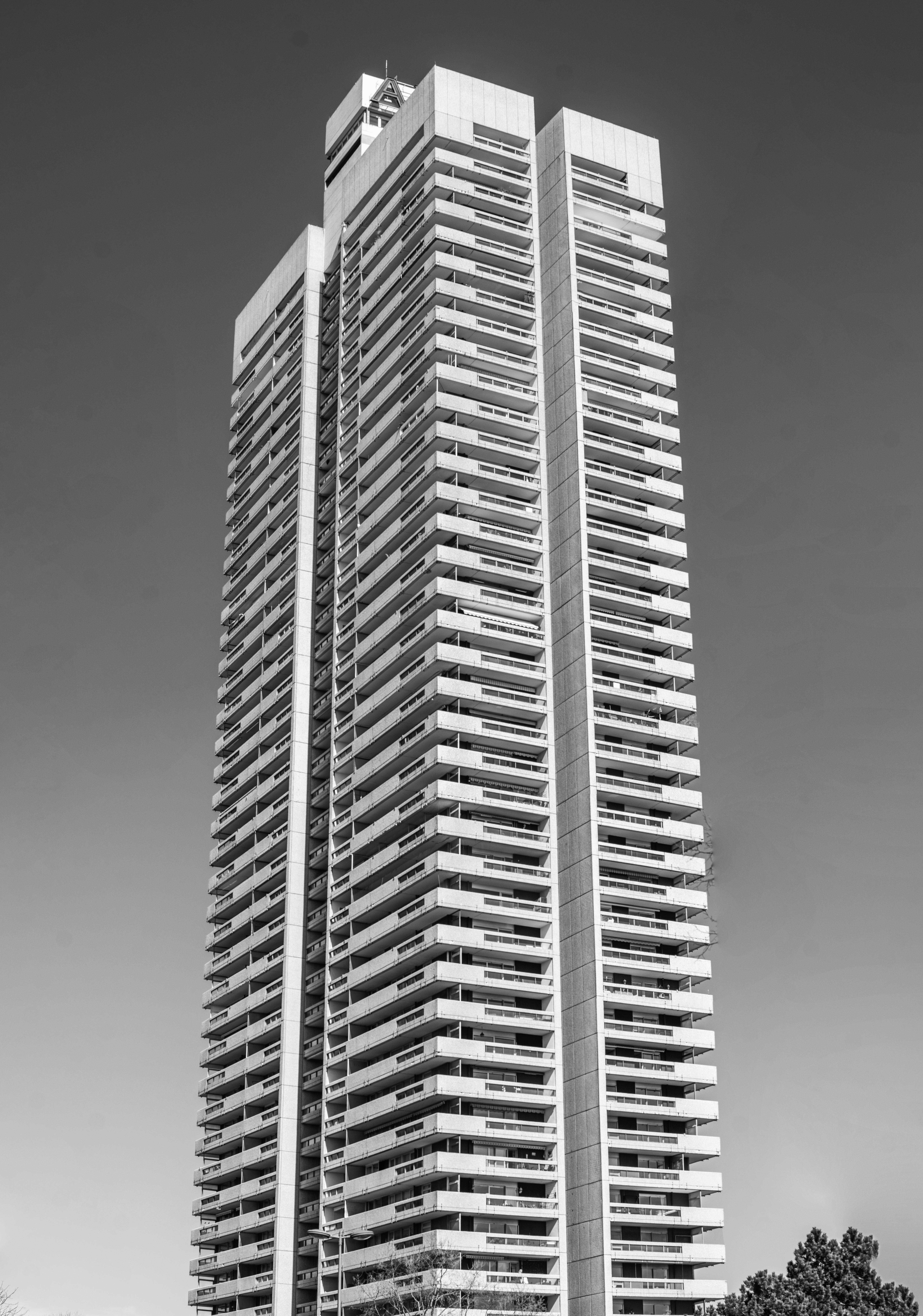 Grayscale Photo of High-Rise Building · Free Stock Photo