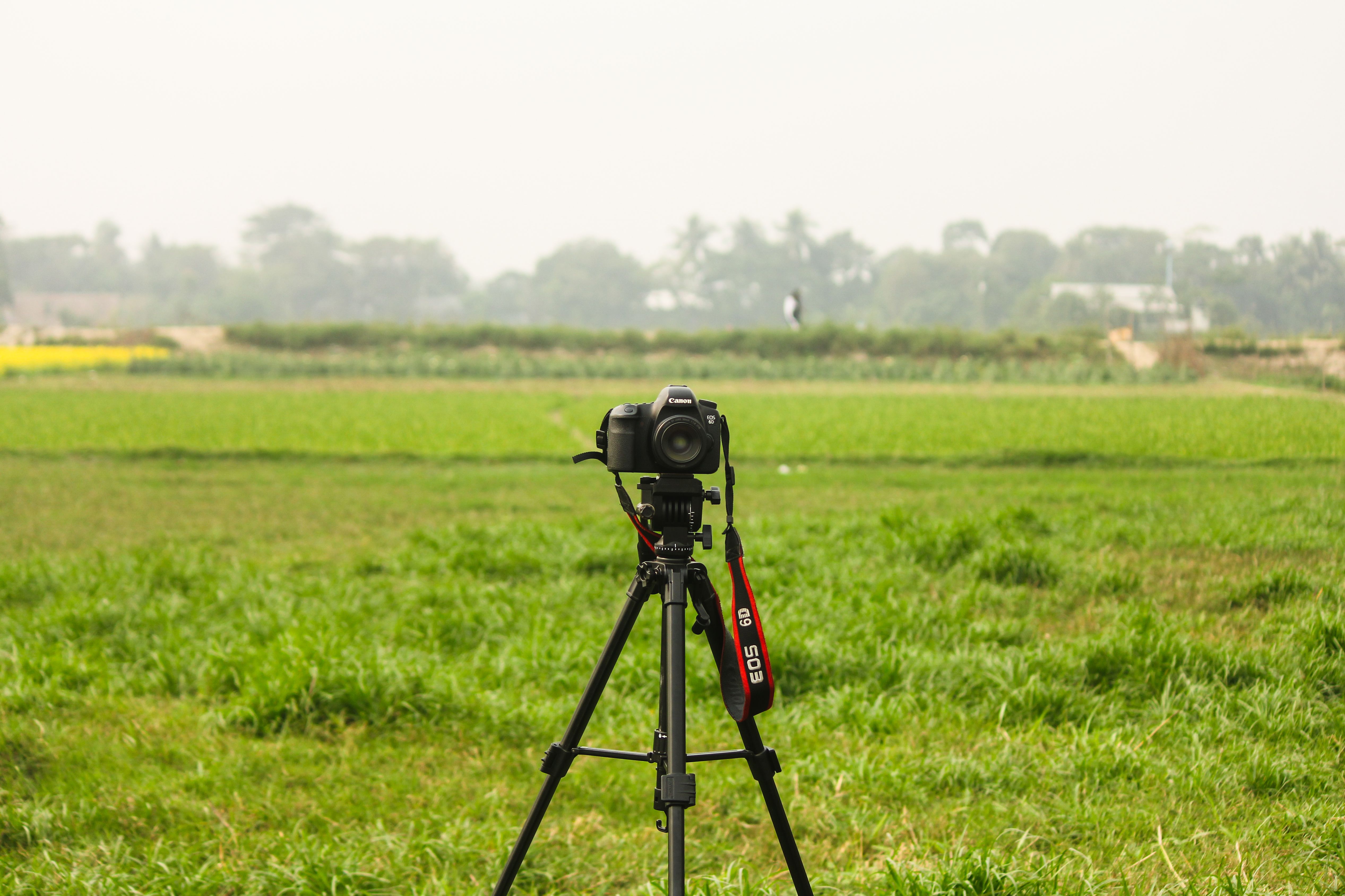 Professional photographer during photo shoot in studio · Free Stock Photo