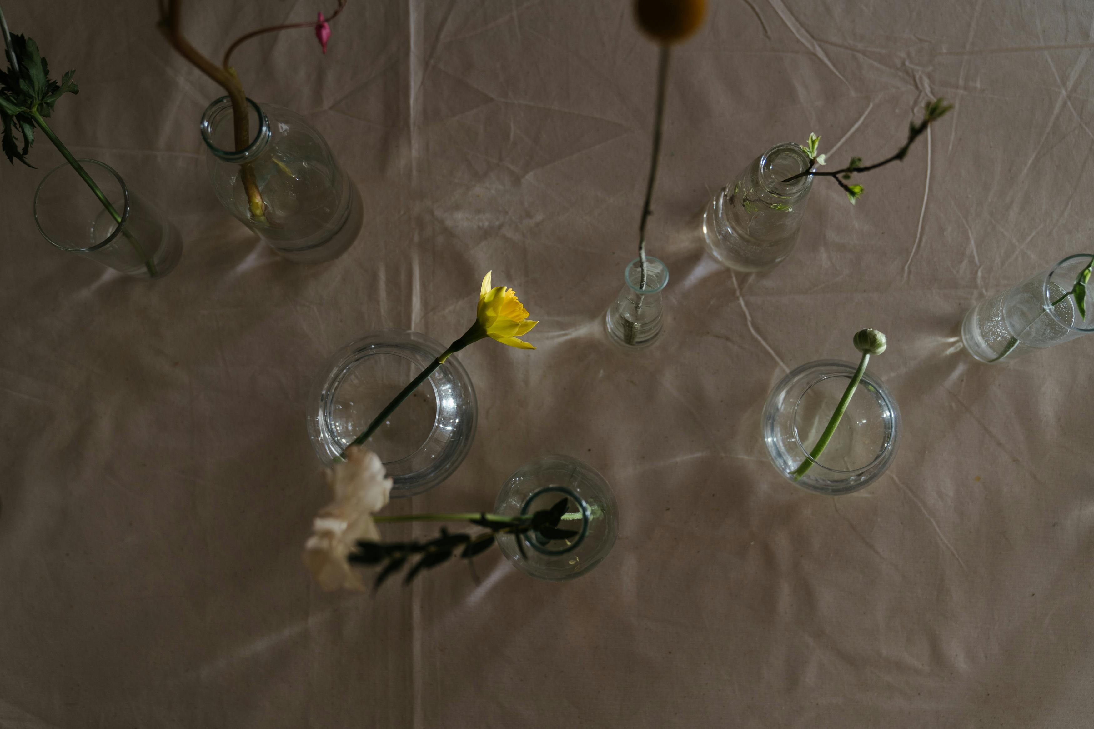 Top View Photo of Flowers on Glass Vase · Free Stock Photo