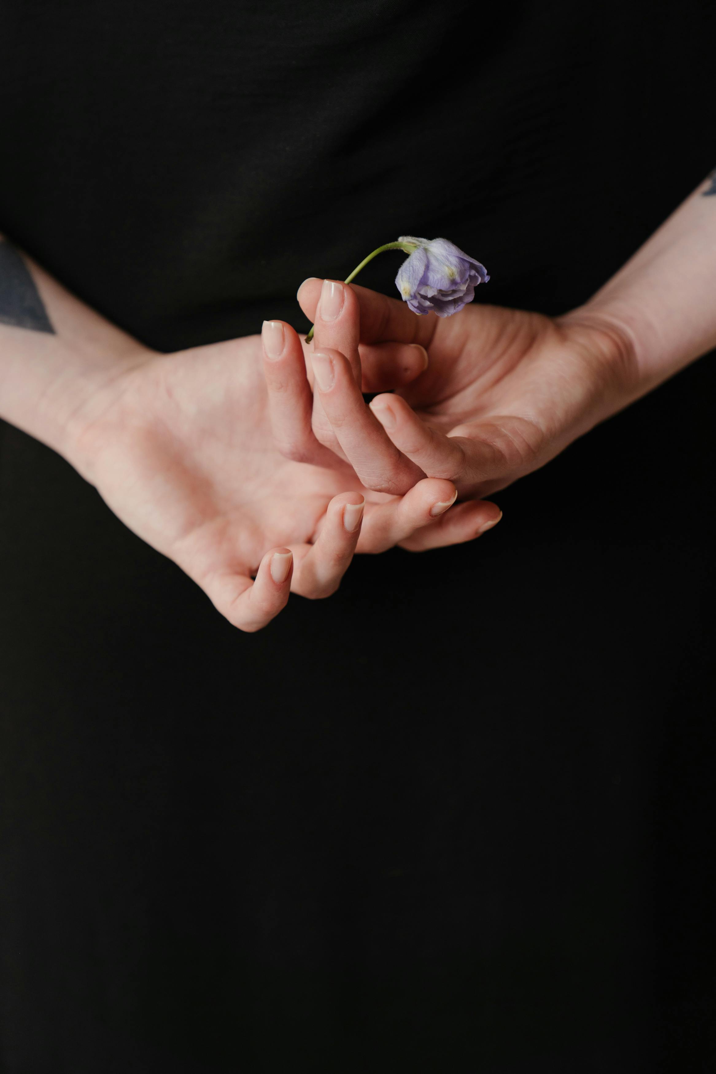 Hands In The Frame · Pexels