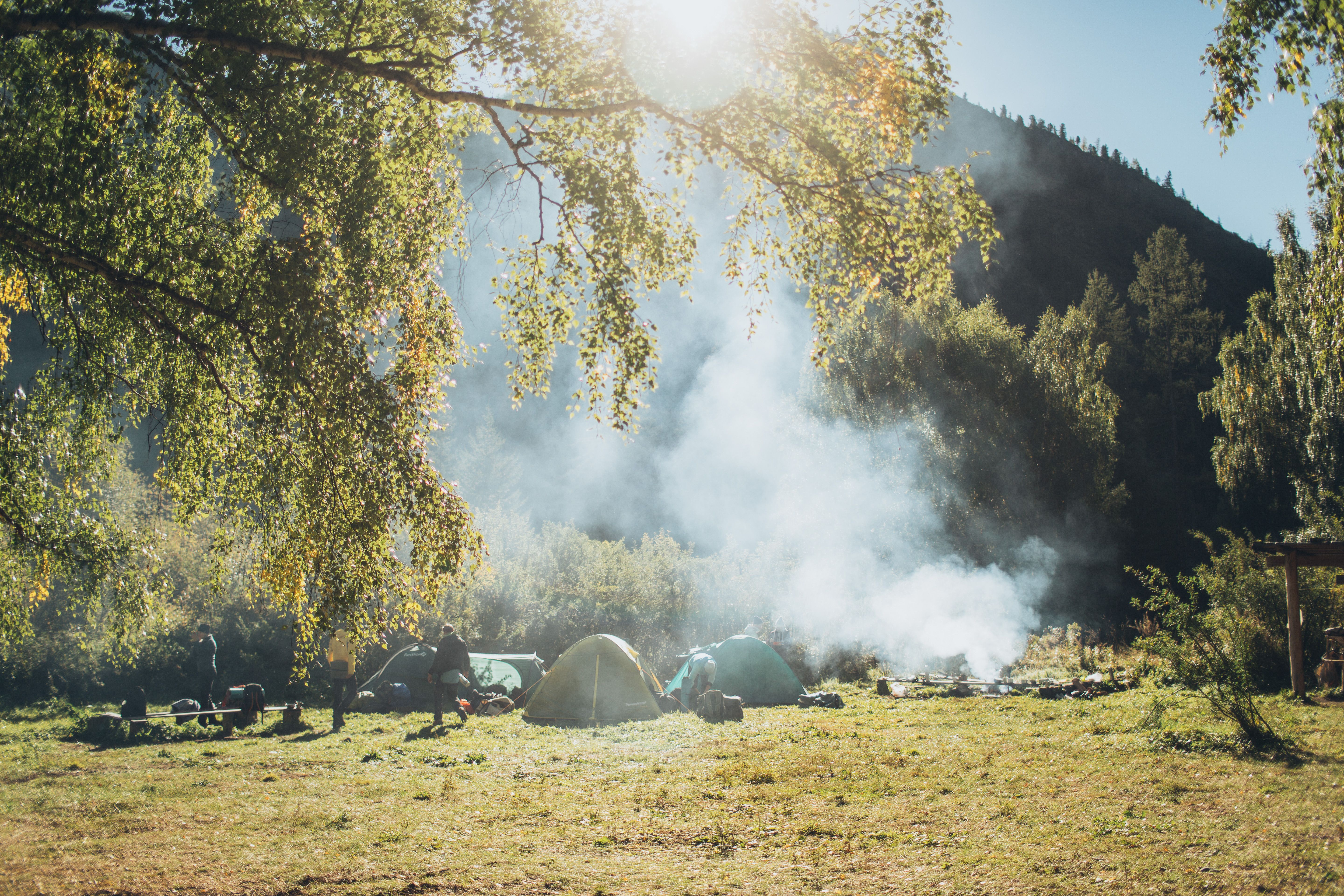 People Camping Near the Trees · Free Stock Photo