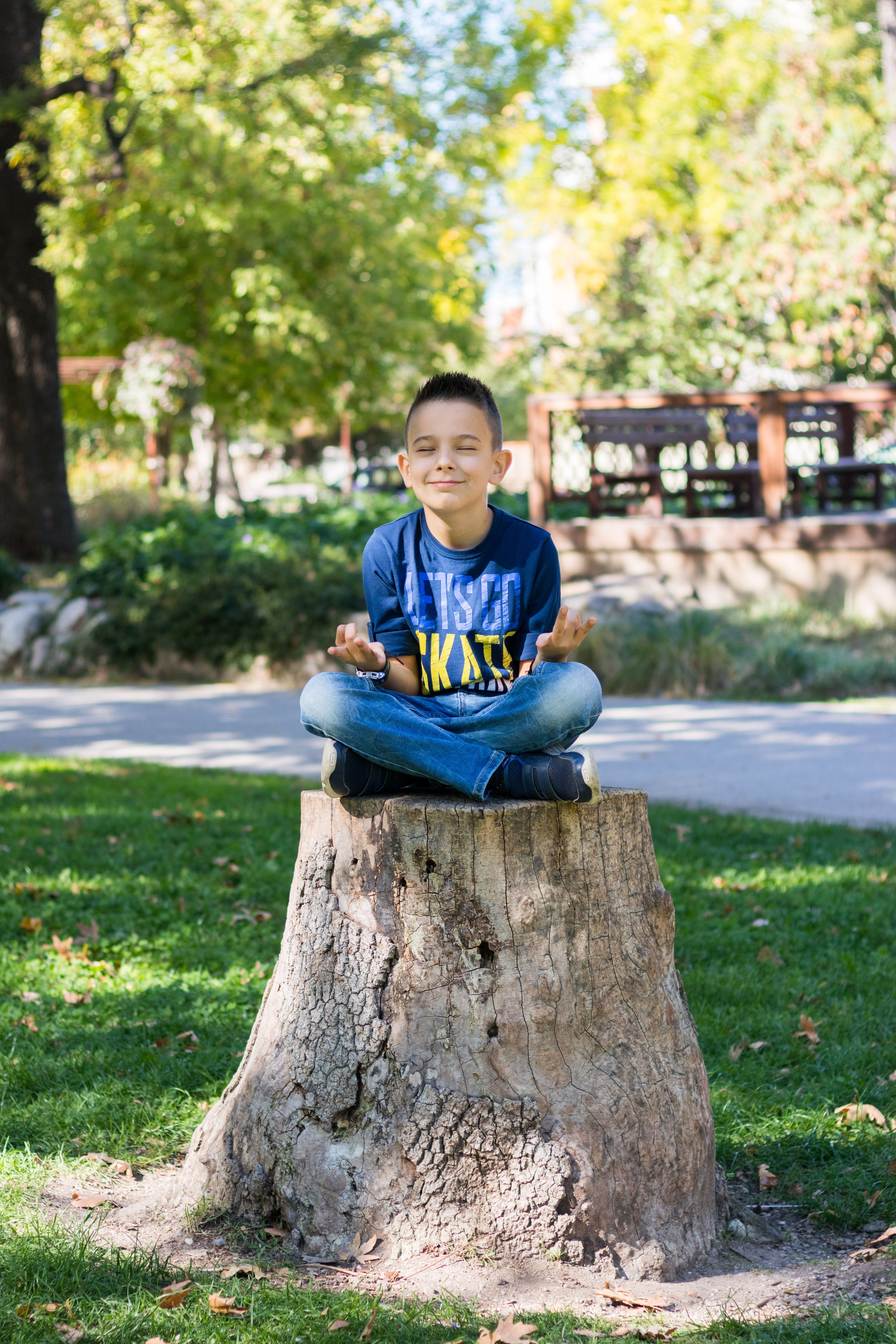 Photo of Boy Sitting on Tree Stump · Free Stock Photo