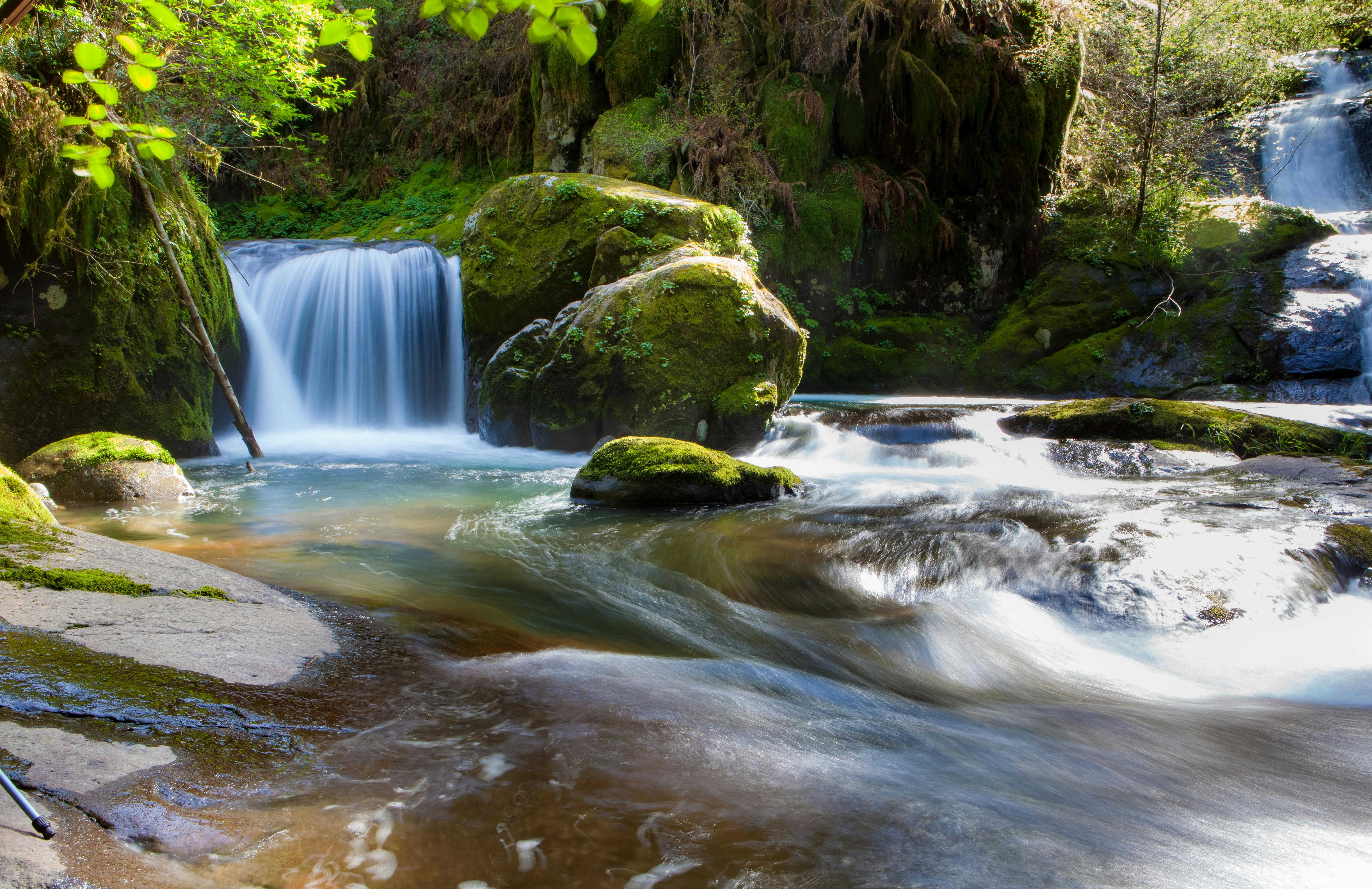 Foto de stock gratuita sobre agua, bosque, cámara rápida