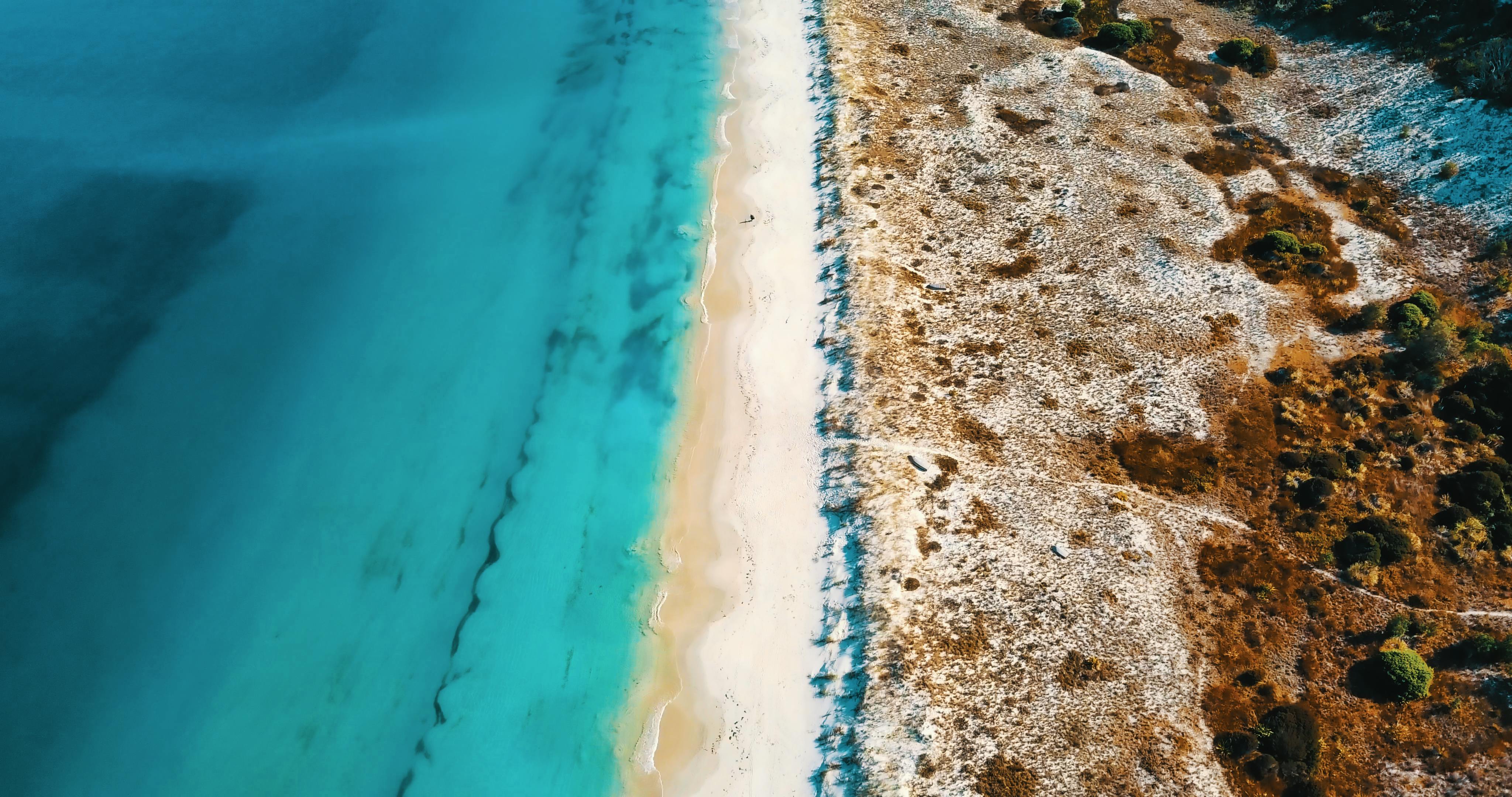 Shoreline of a White Sand Beach · Free Stock Photo