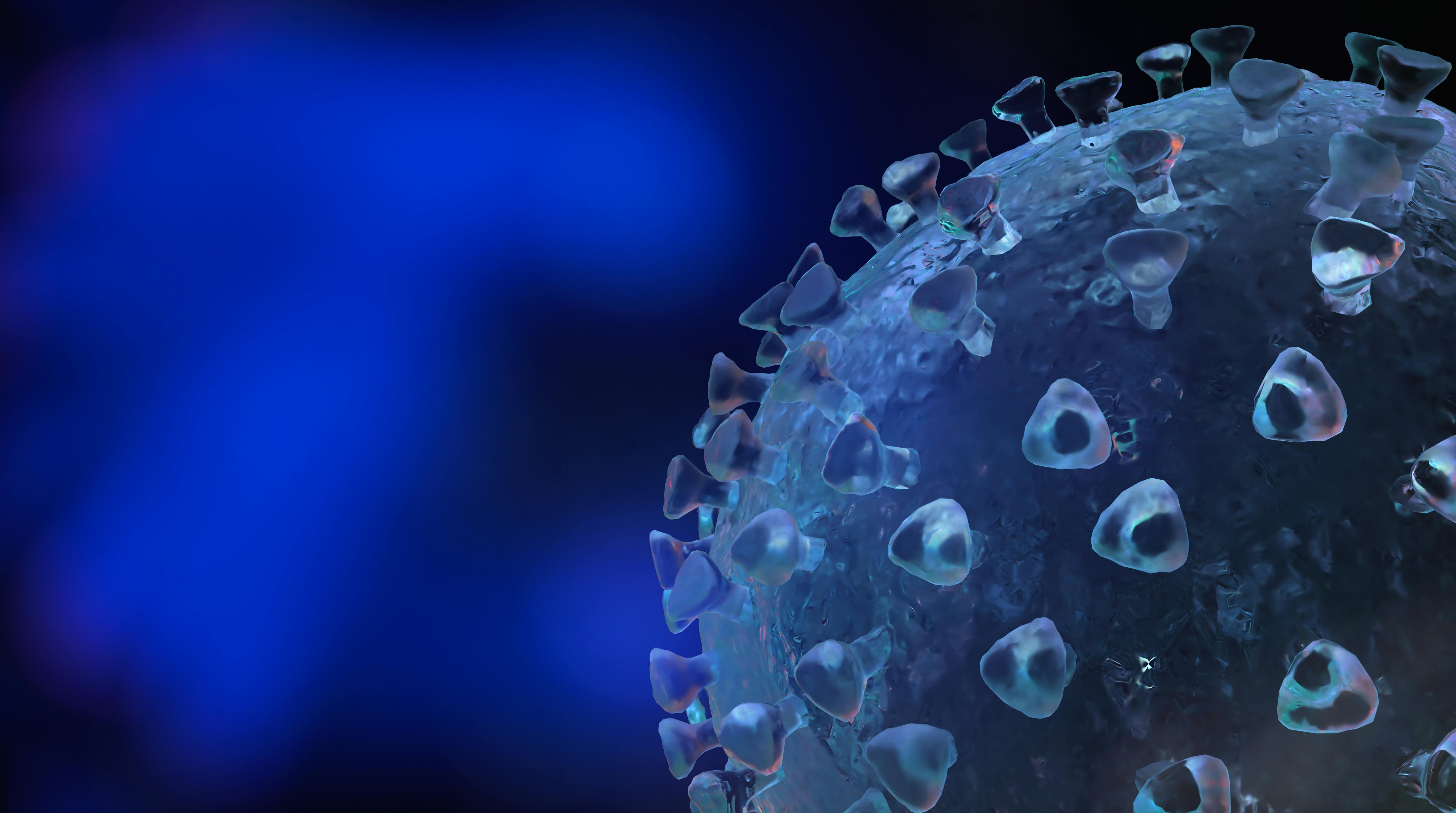 Please donate via PayPal or Payoneer - 攝影