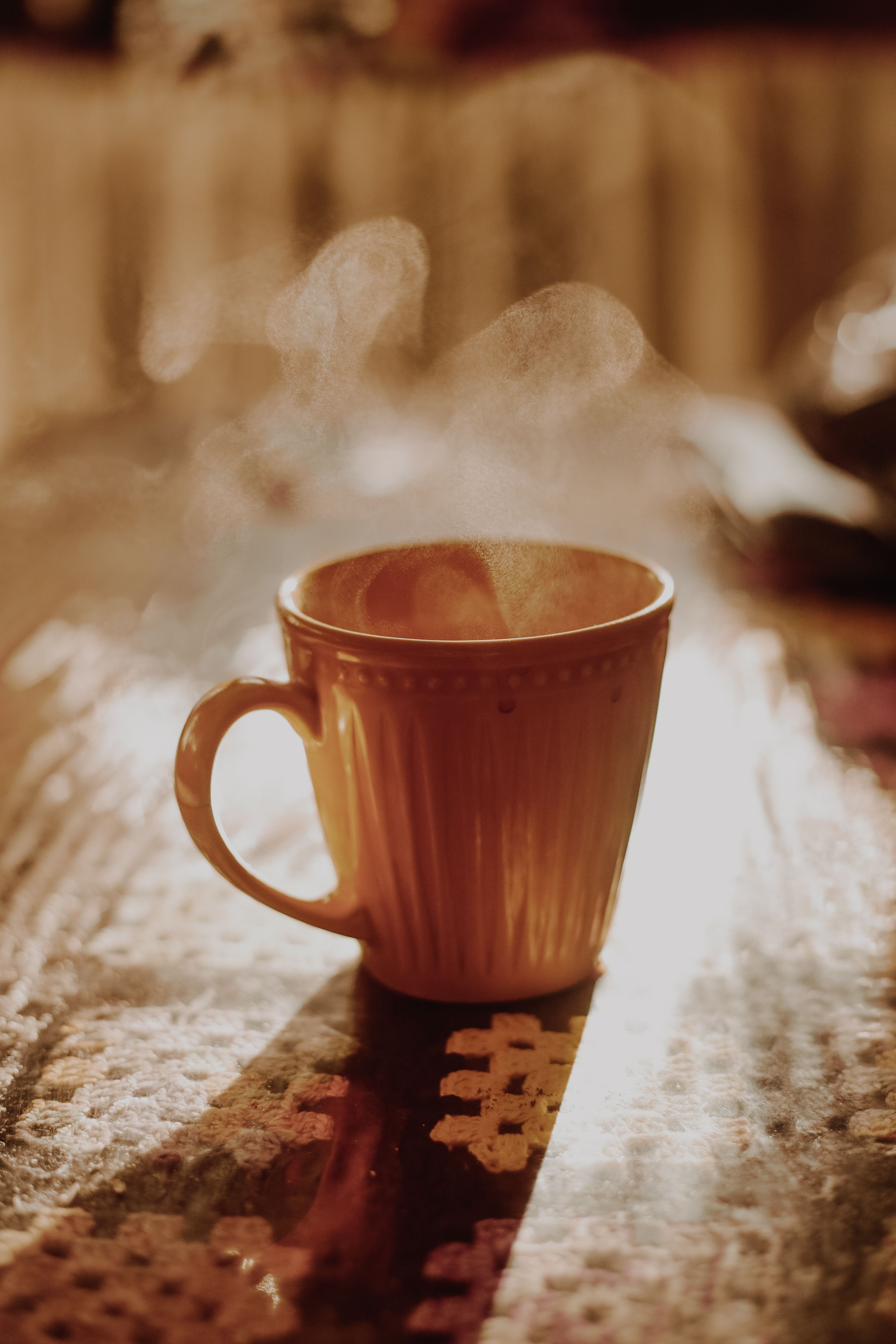 14+ Best Free Calor Stock Photos & Images · 100% Royalty-Free HD Downloads