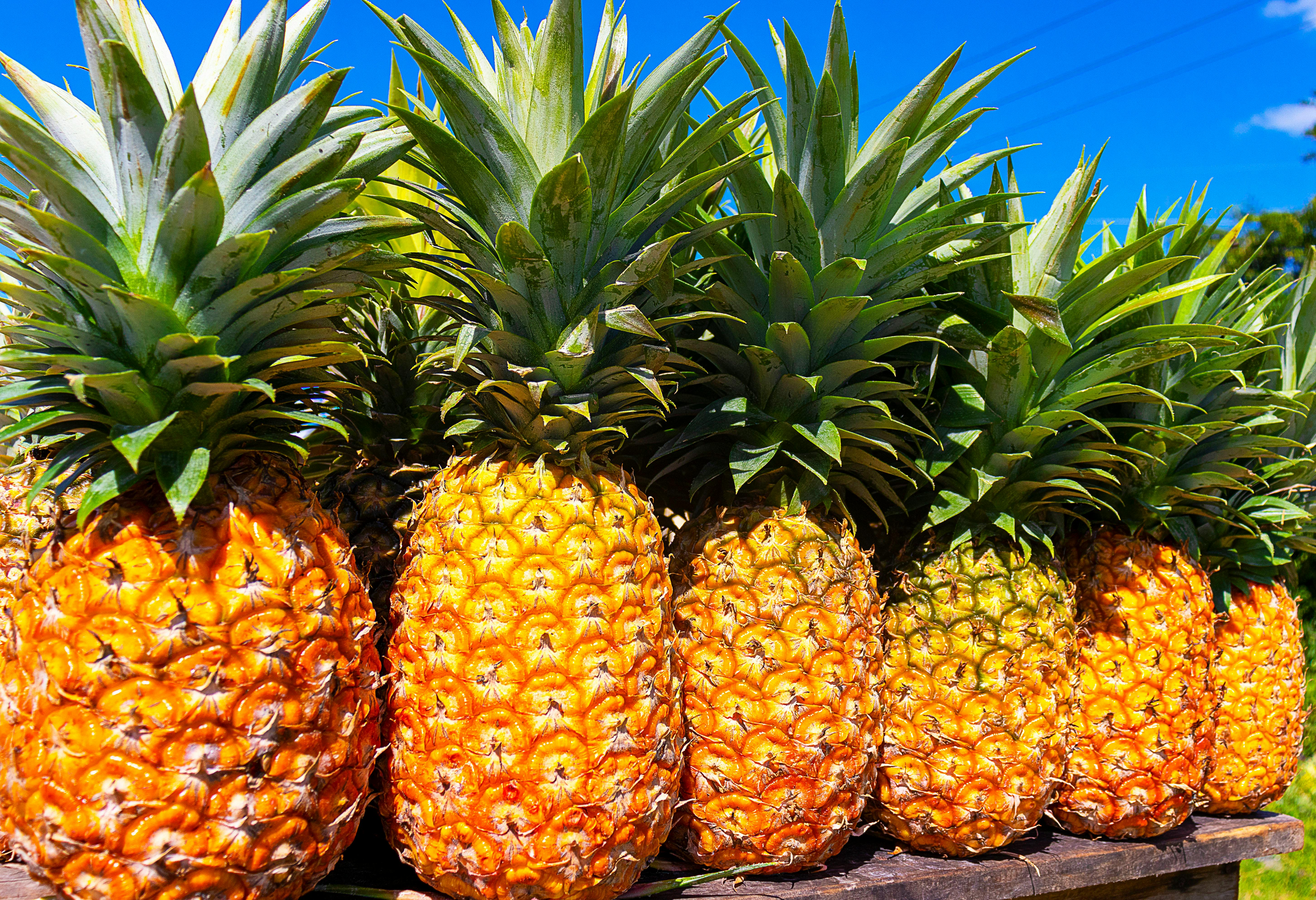 Free stock photo of Amarillo, fruta tropical, frutas