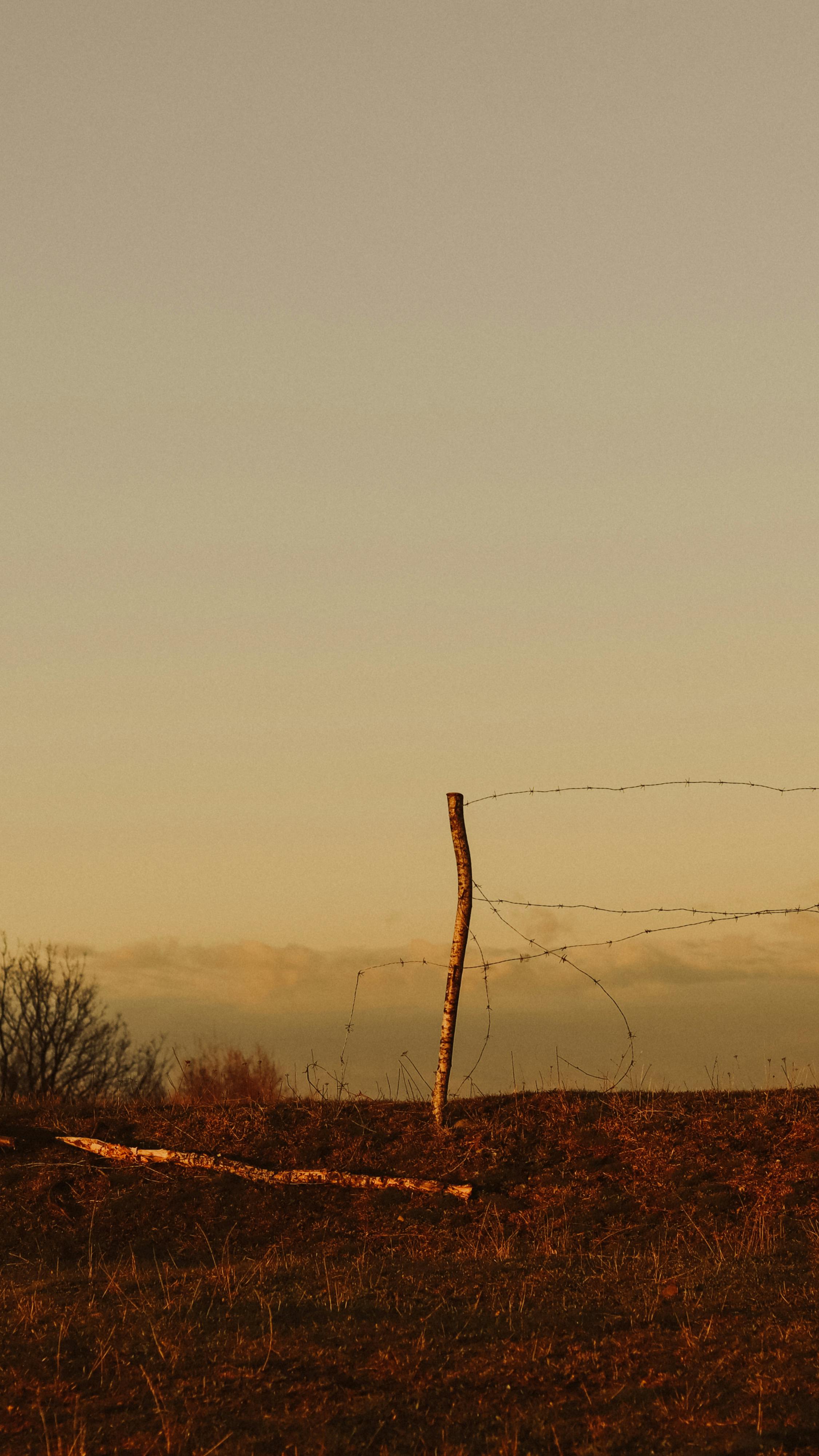 Abandoned fallen barbed wire in evening countryside · Free Stock Photo
