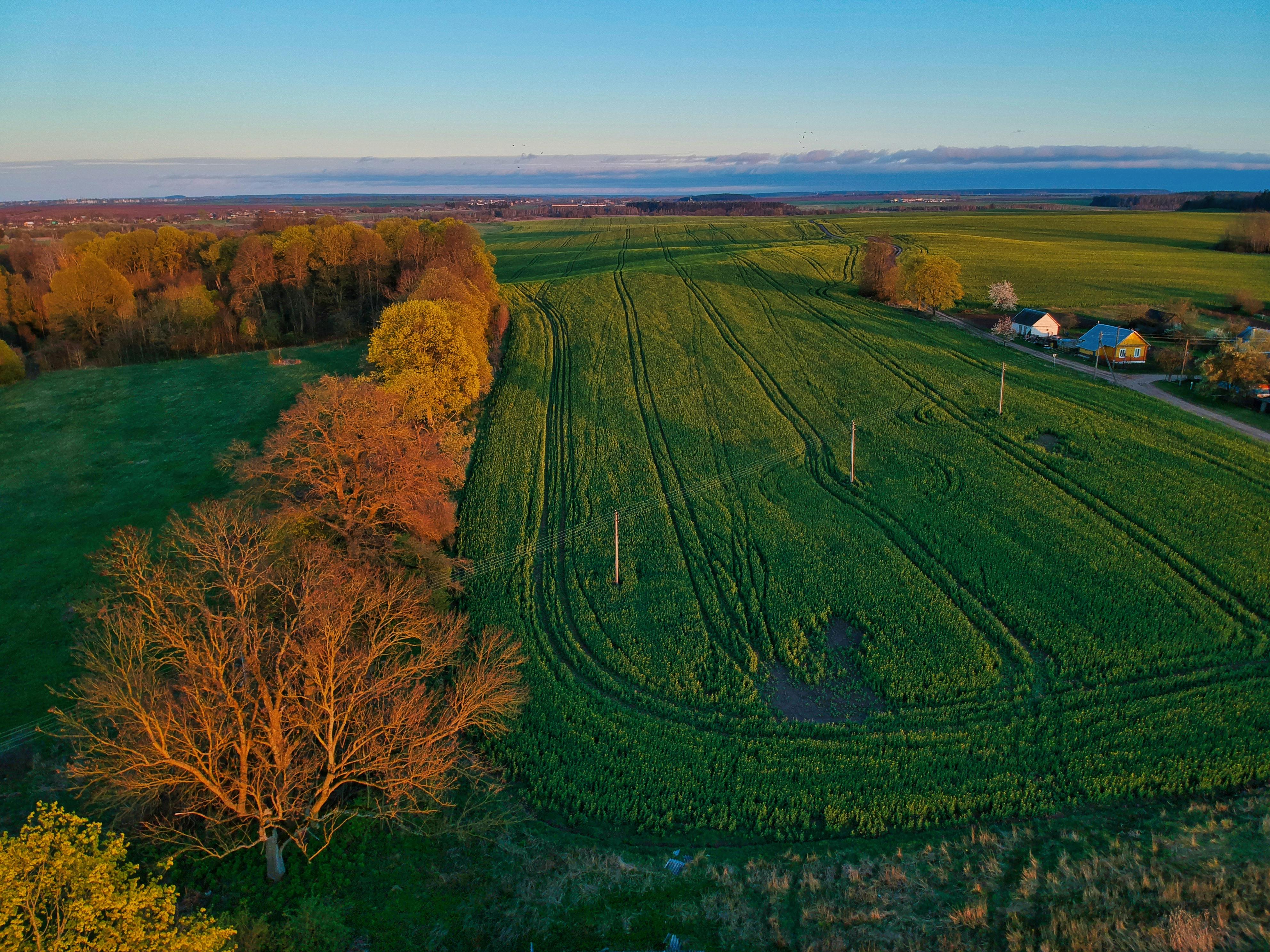 Farm cottages amidst autumn trees at sunset · Free Stock Photo