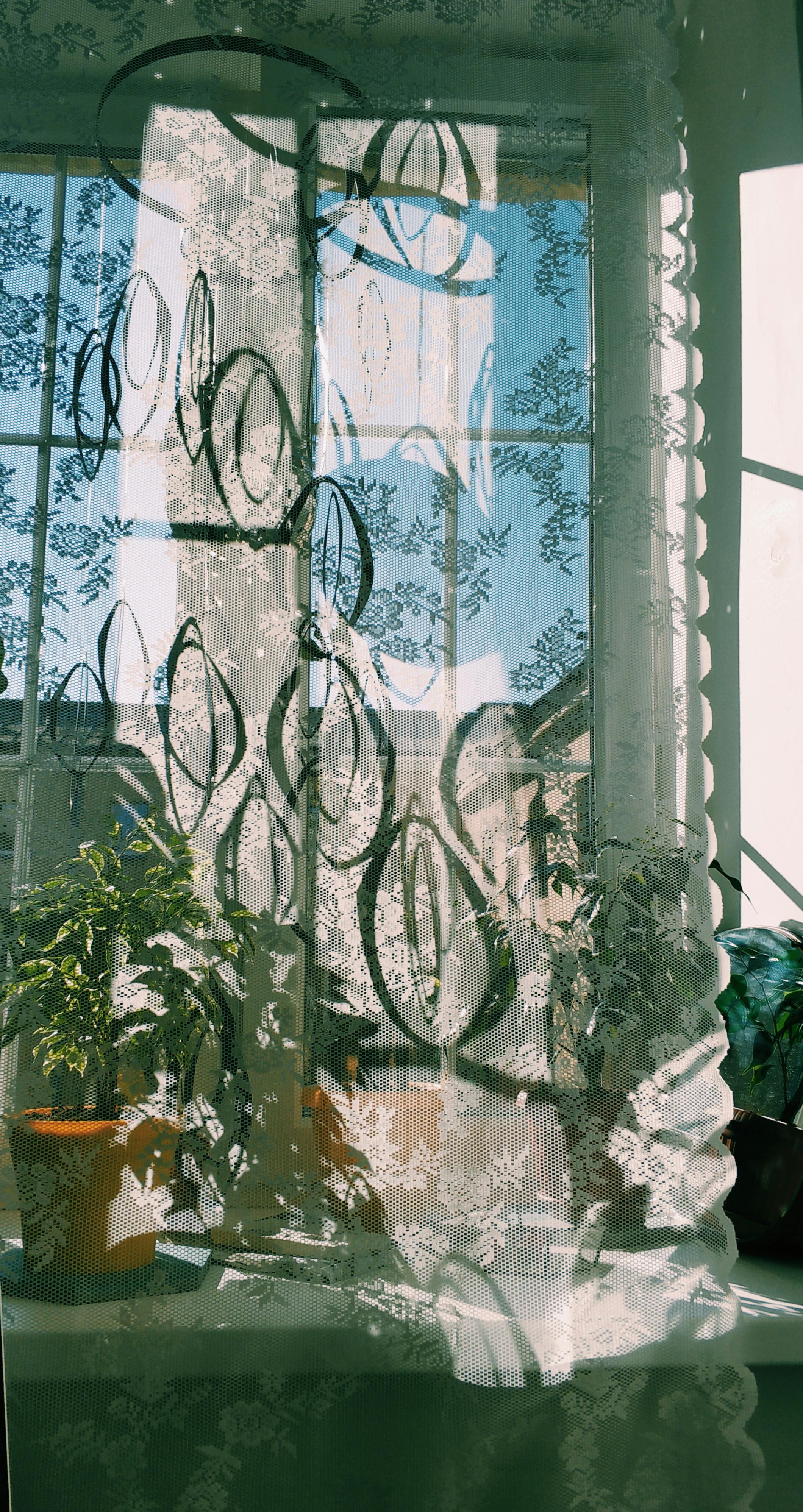 Curtain With Shadows in front of a Window · Free Stock Photo