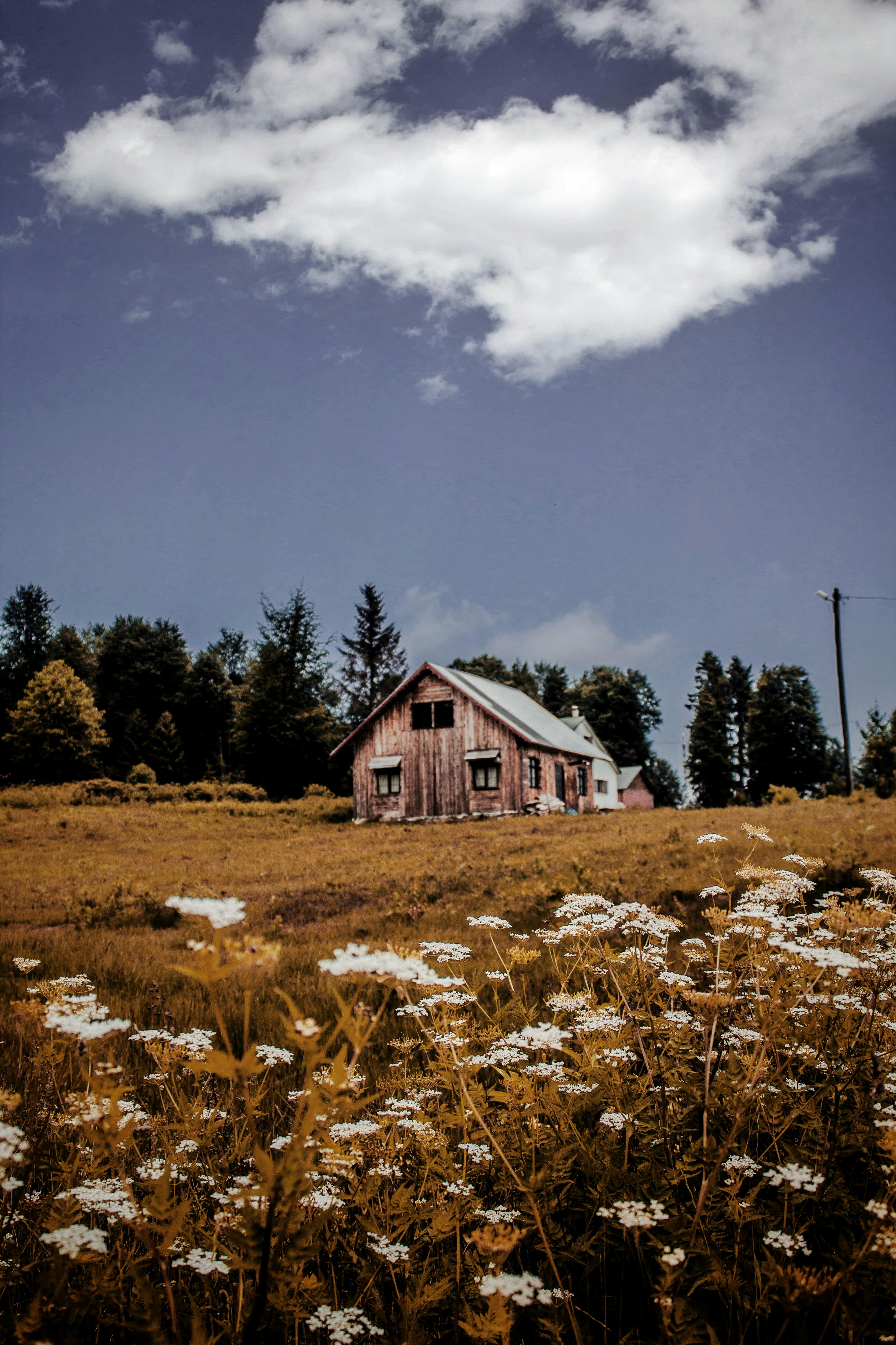 Lonely rustic house on meadow in countryside · Free Stock Photo