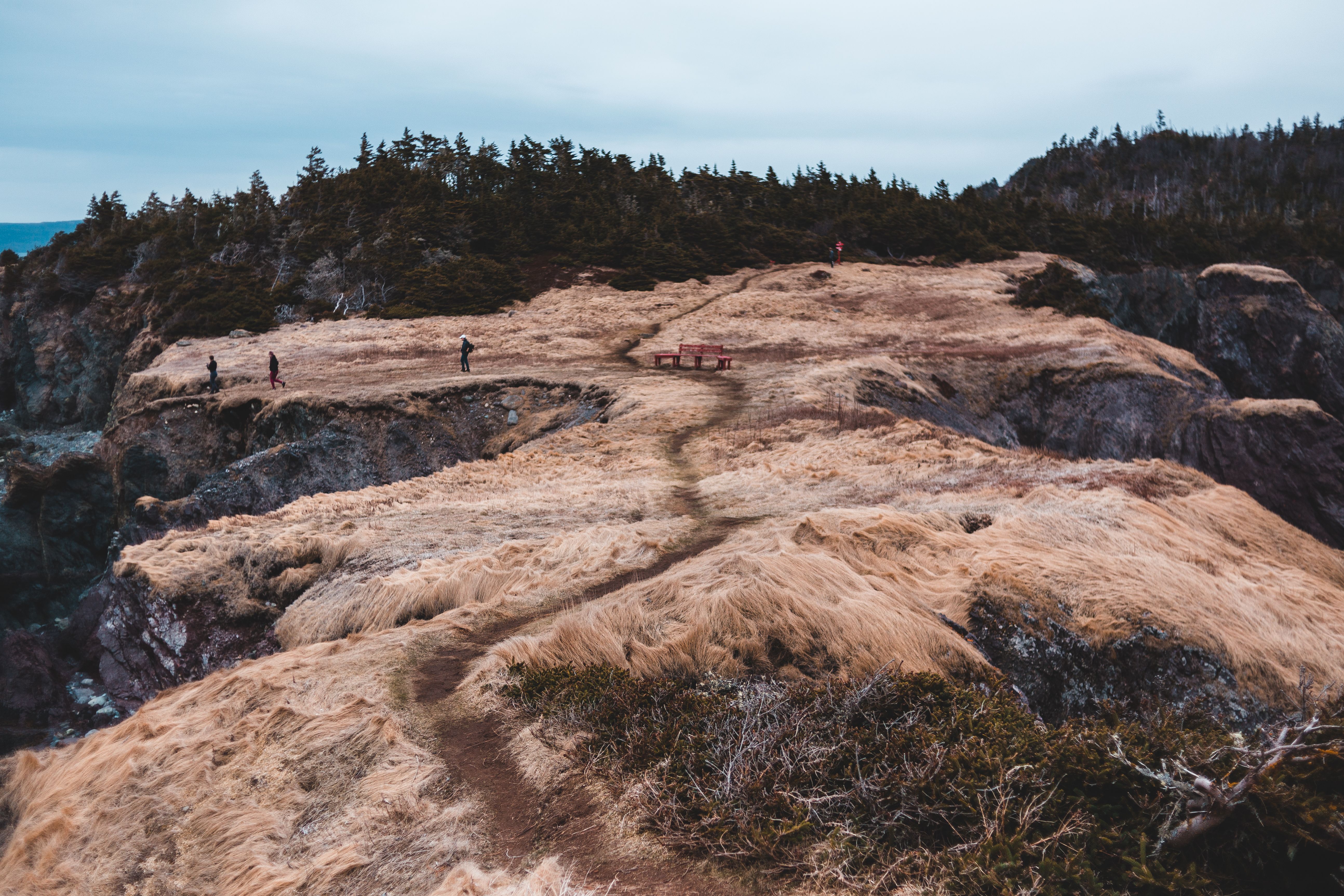 Grassy terrain with green mountains · Free Stock Photo