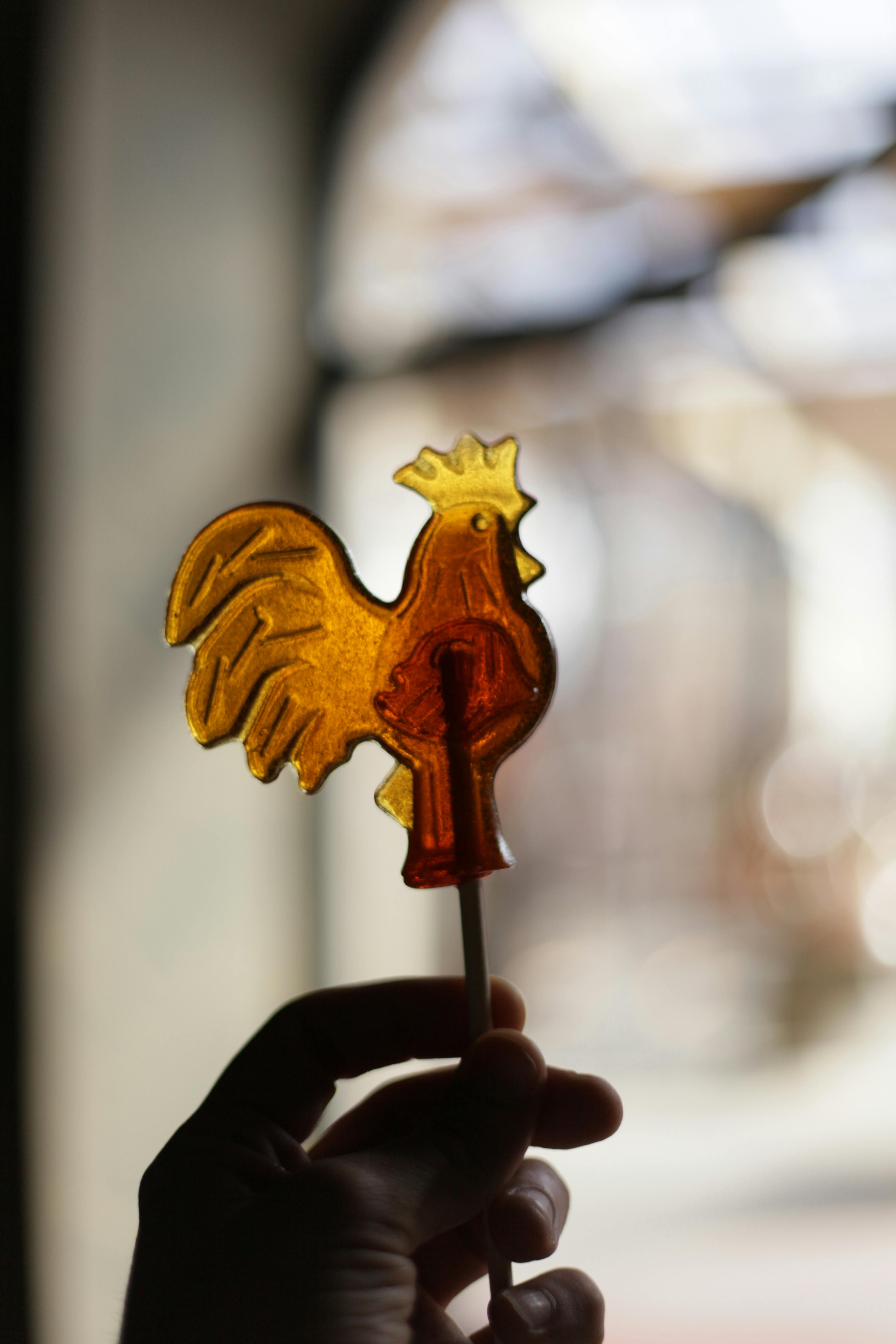 Michael Wave - Photography