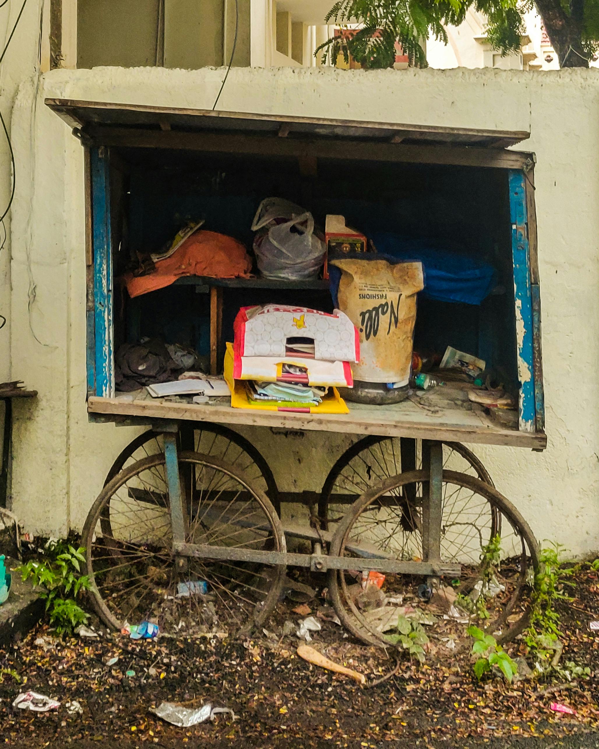 Alan Fernando - Fotografía