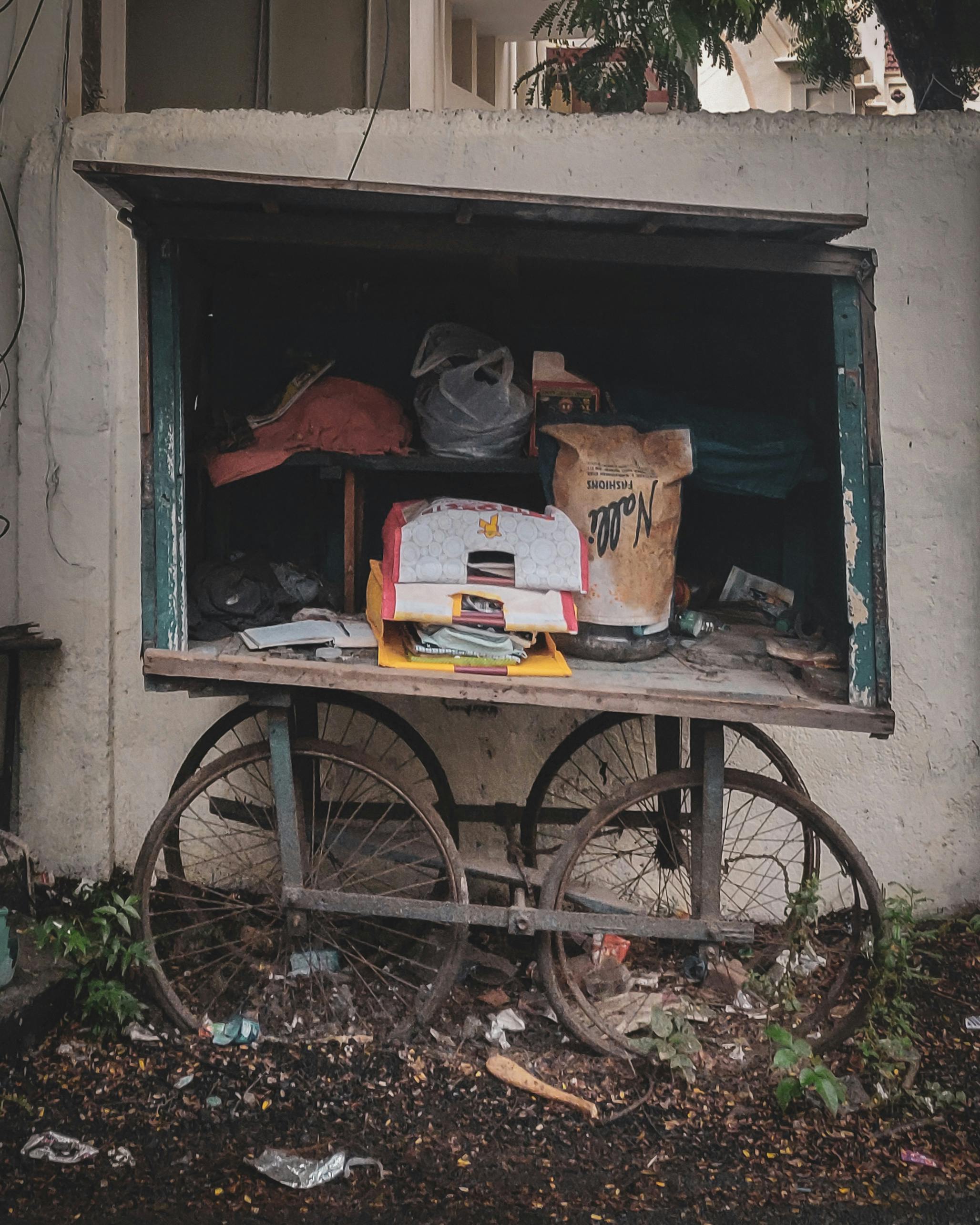 Alan Fernando - Fotografía