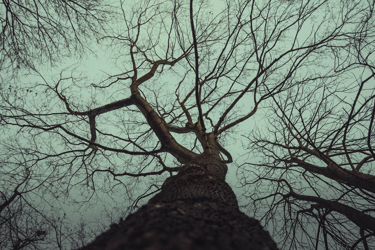 Vidoe+Bokep+Bocil+Terbaru Photos, Download The BEST Free Vidoe+Bokep+Bocil+Terbaru Stock Photos ...