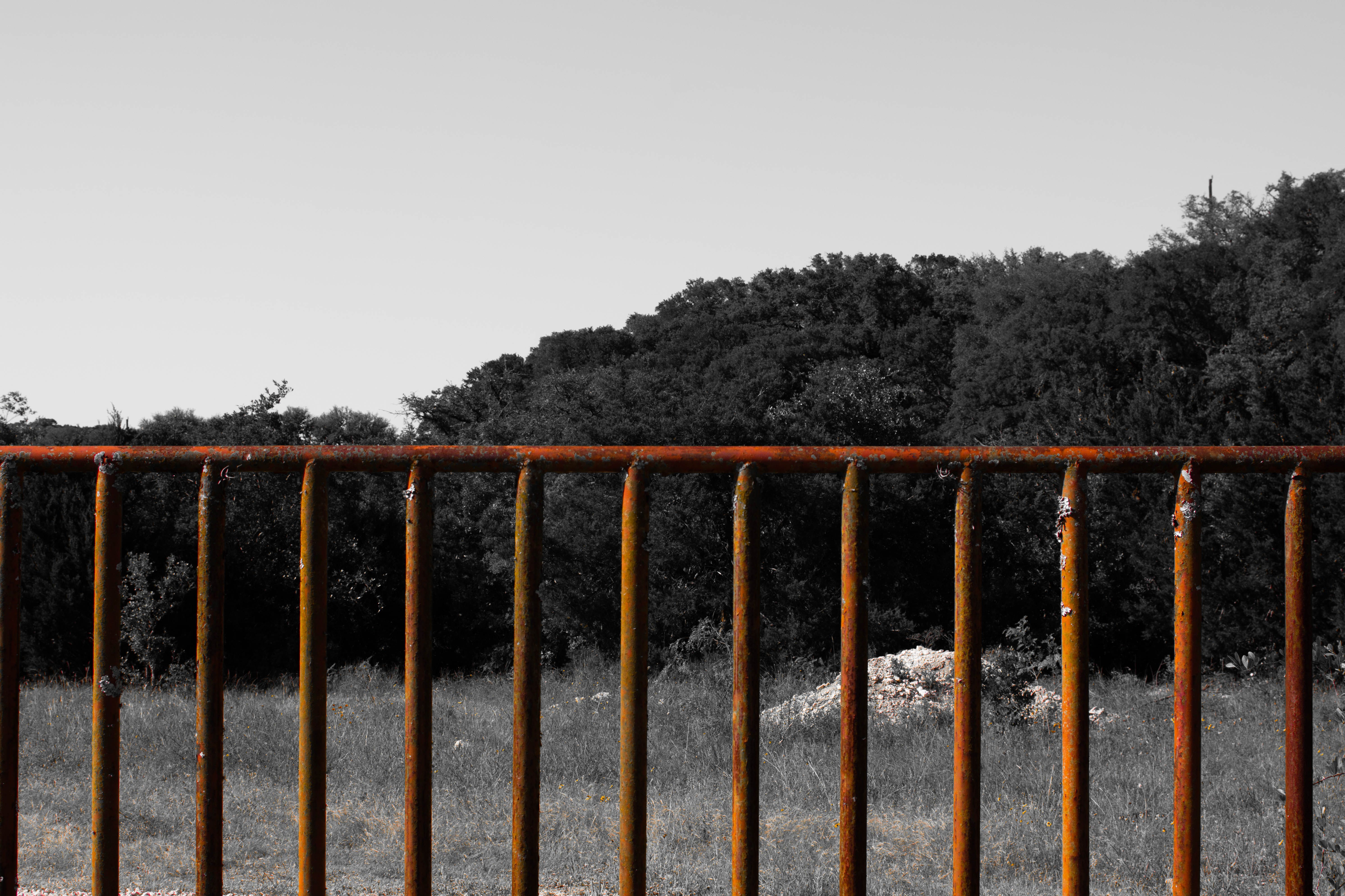 Free stock photo of red gate