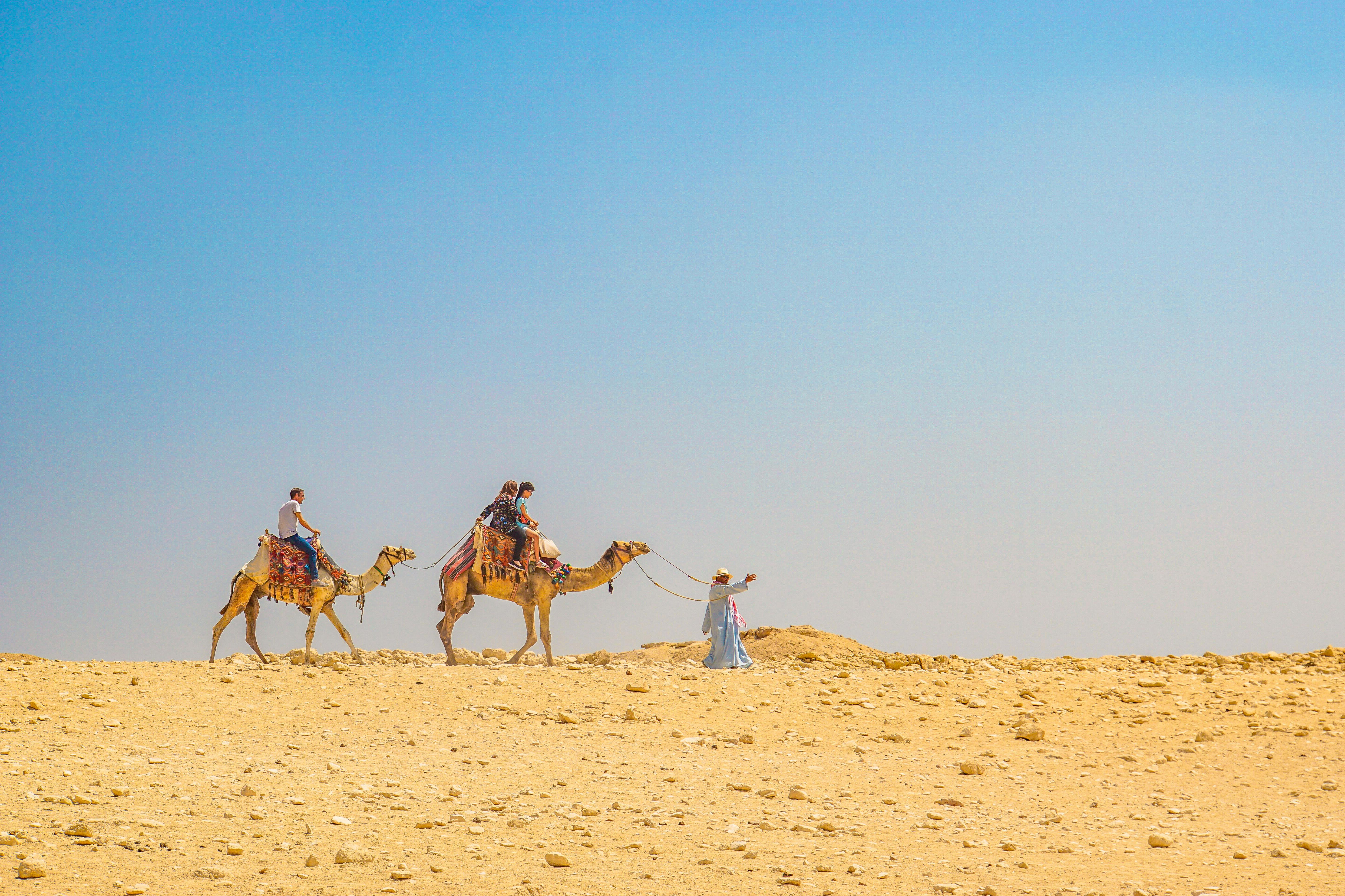 People Riding a Camel on Brown Sand · Free Stock Photo