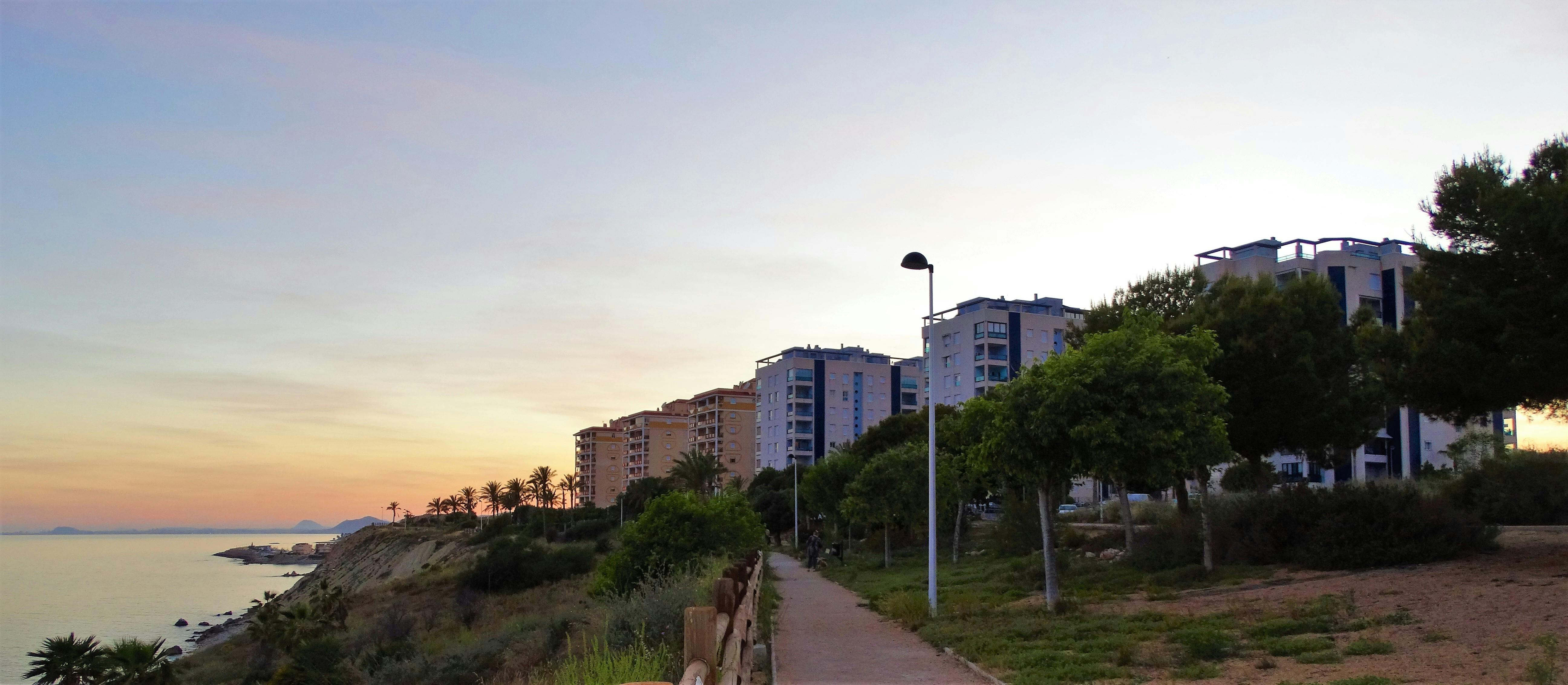 David Escribano - 사진