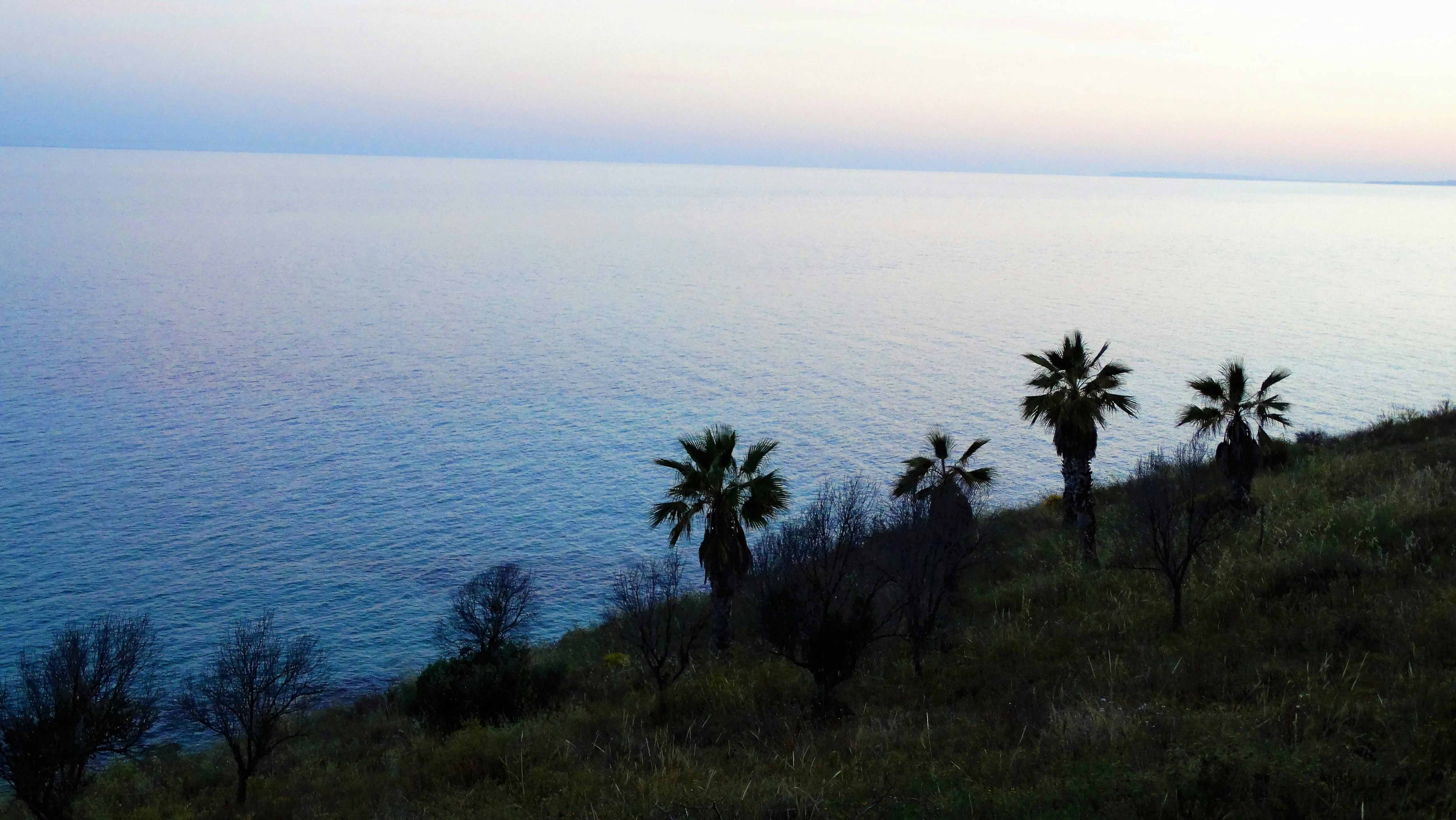 David Escribano - 攝影